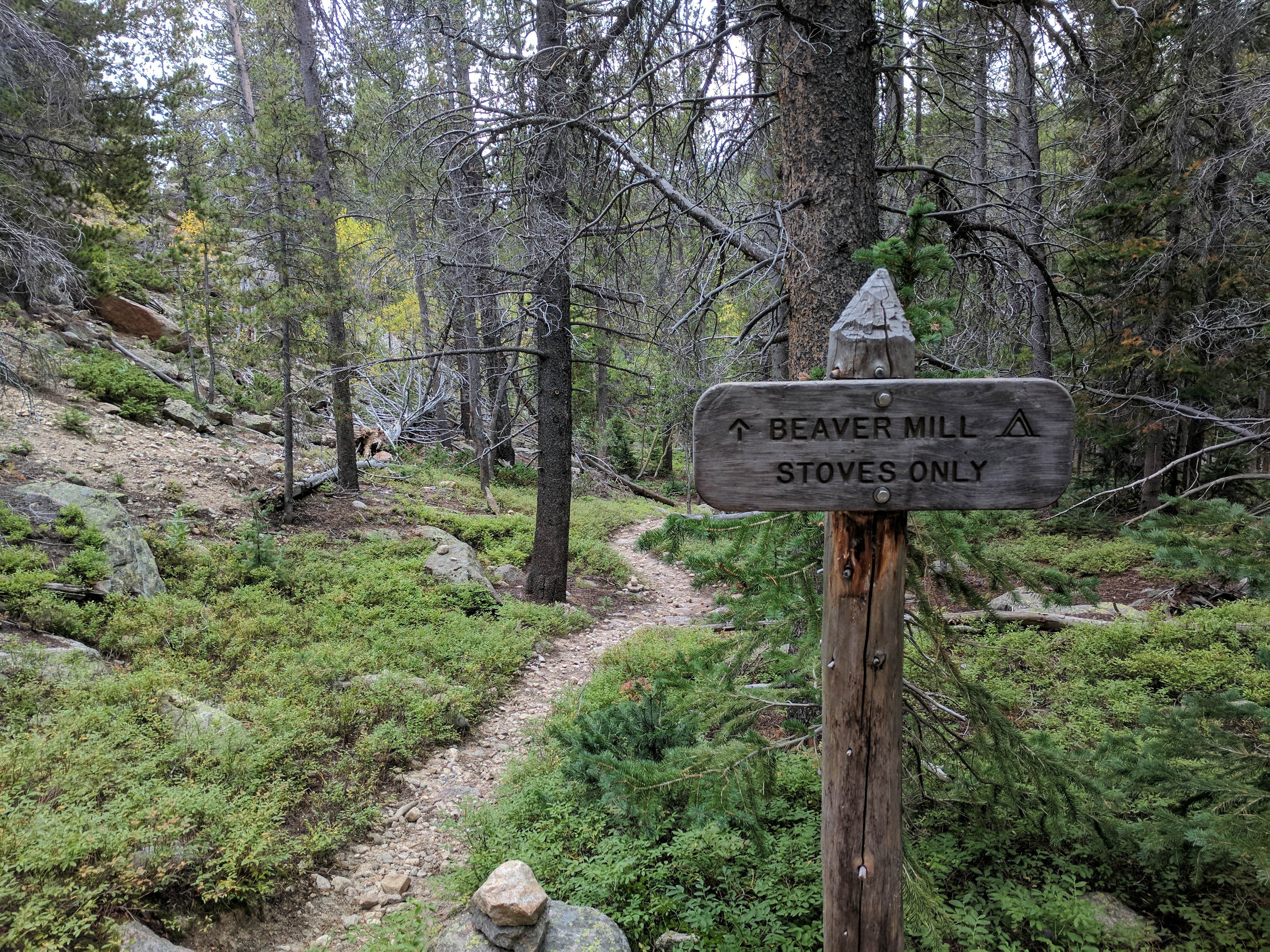 Beaver Mill | The Dyrt