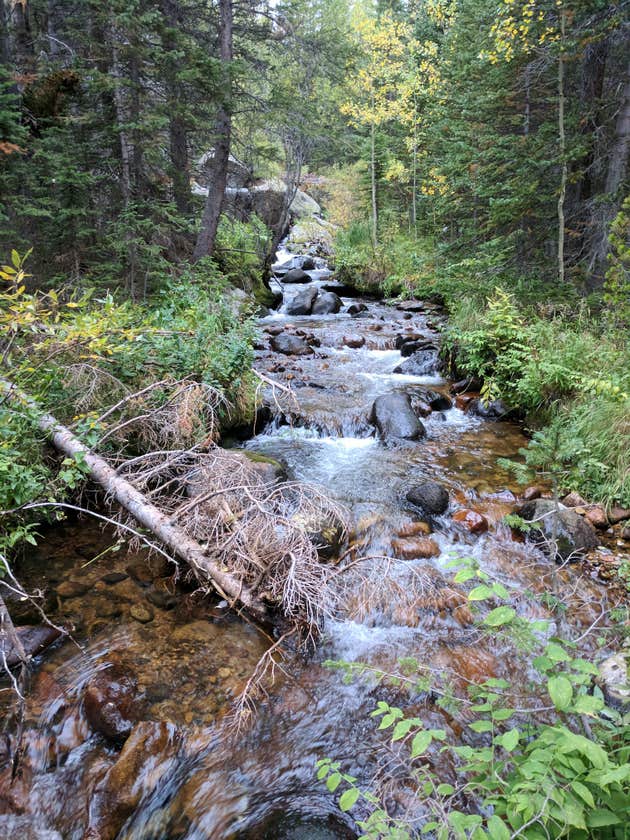 Beaver Mill | The Dyrt