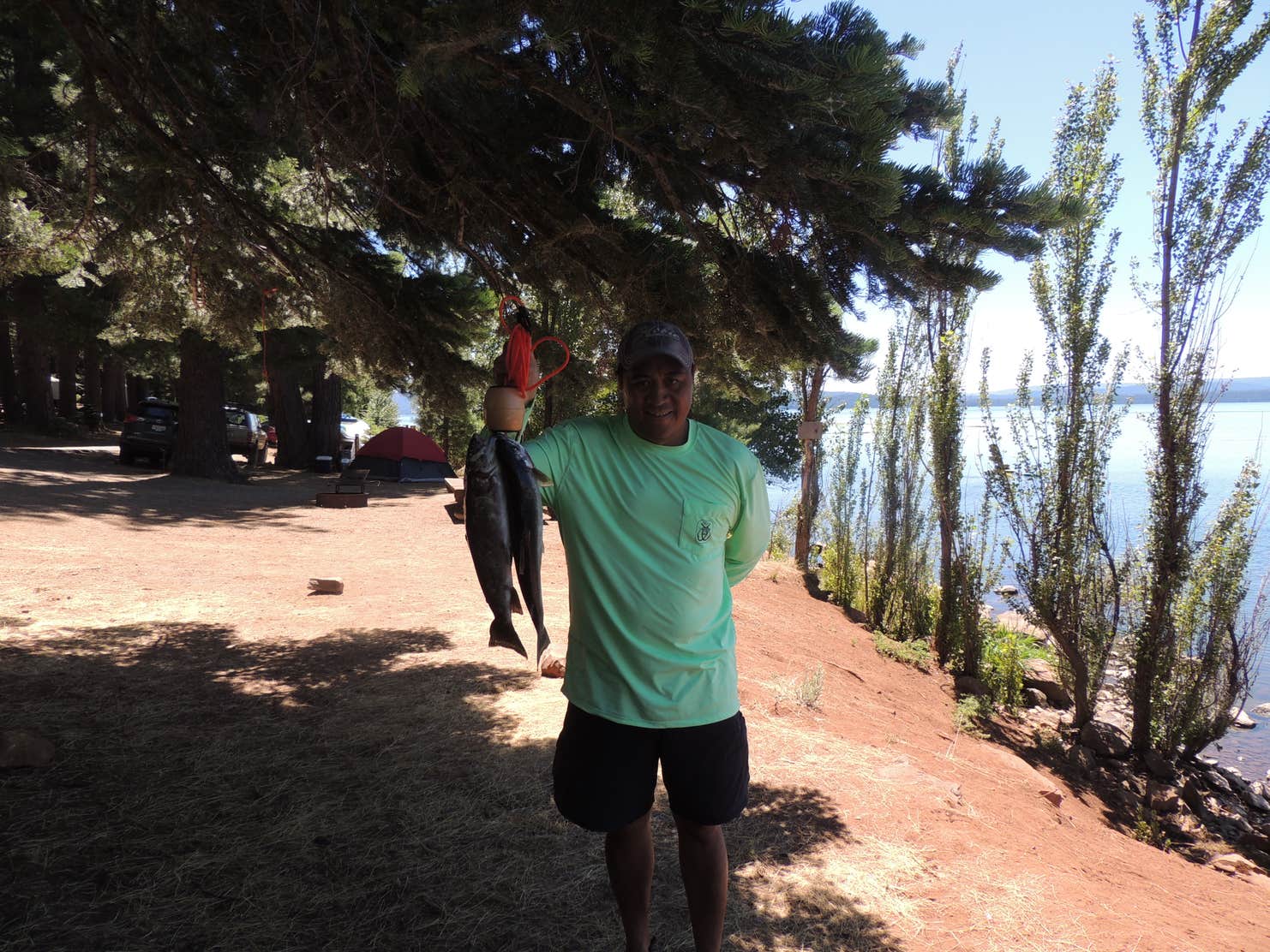 North Shore Campground - Lake Almanor Camping | The Dyrt