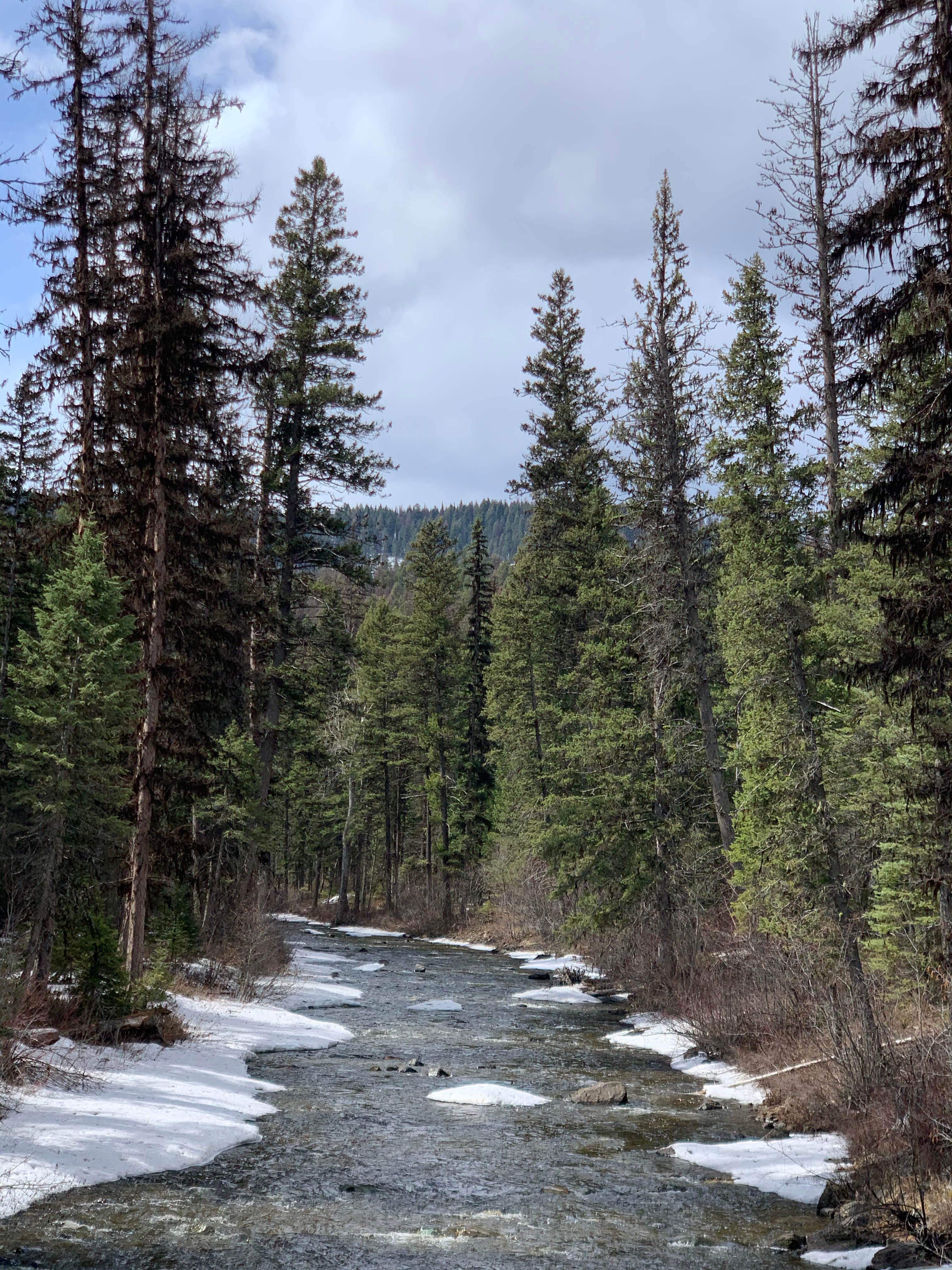 Tally Lake Campground | The Dyrt