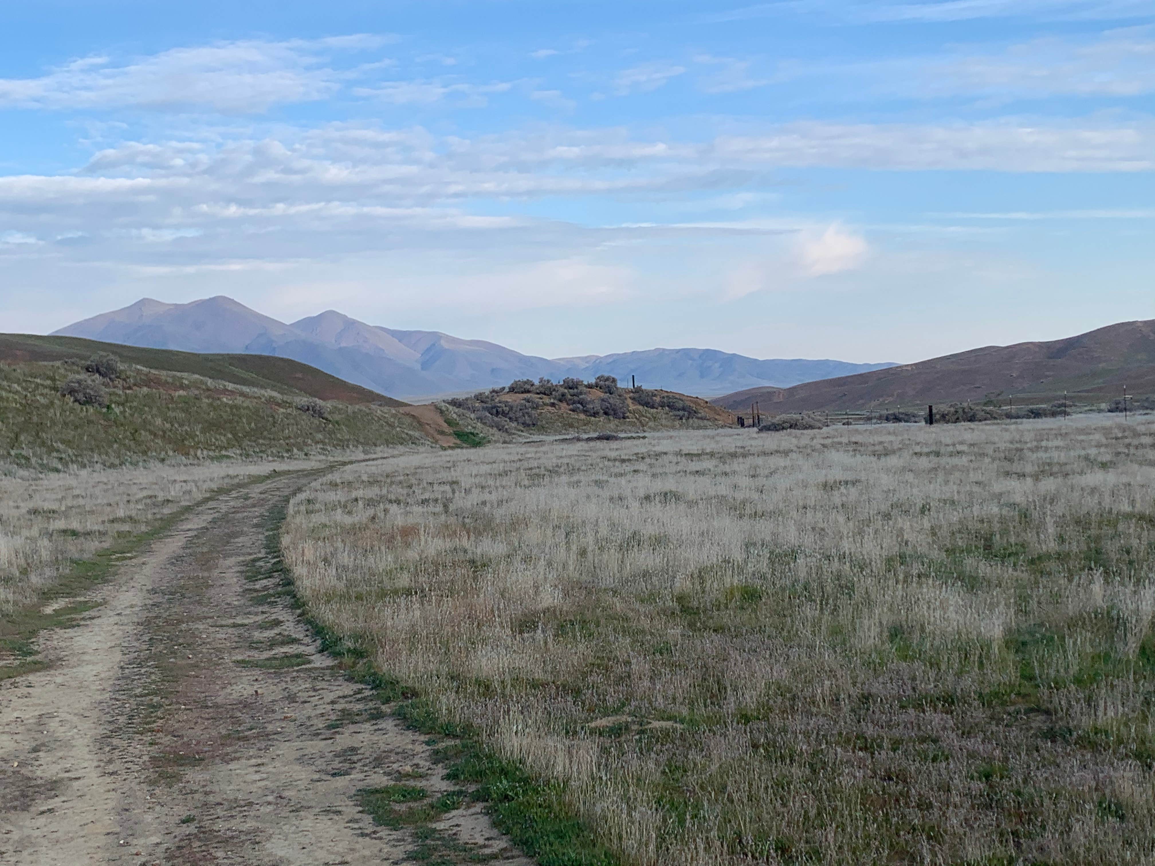 Mercey Hot Springs Camping | Firebaugh, CA
