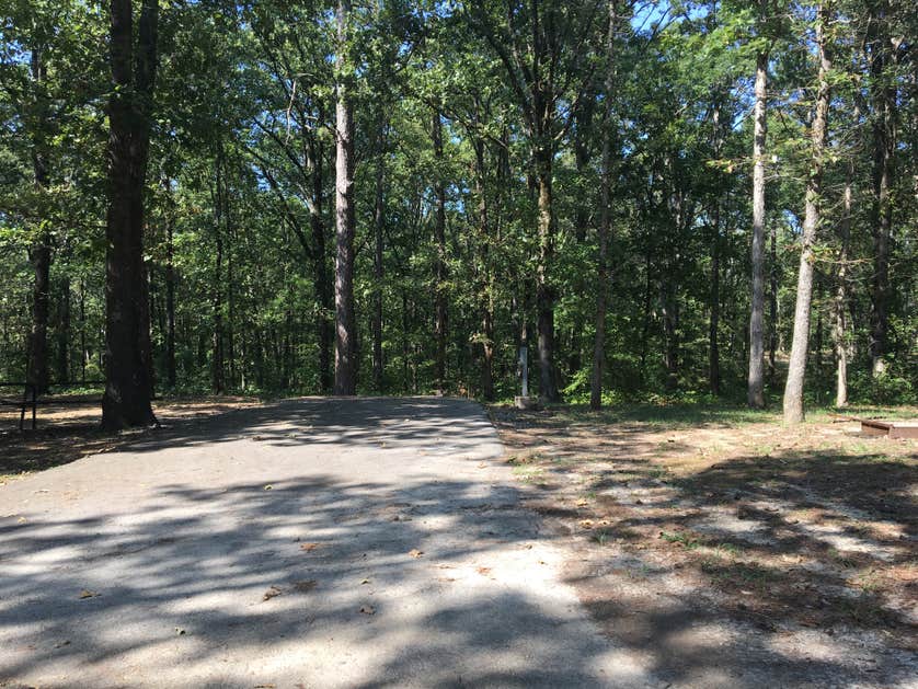 Craighead Forest Park Camping | The Dyrt