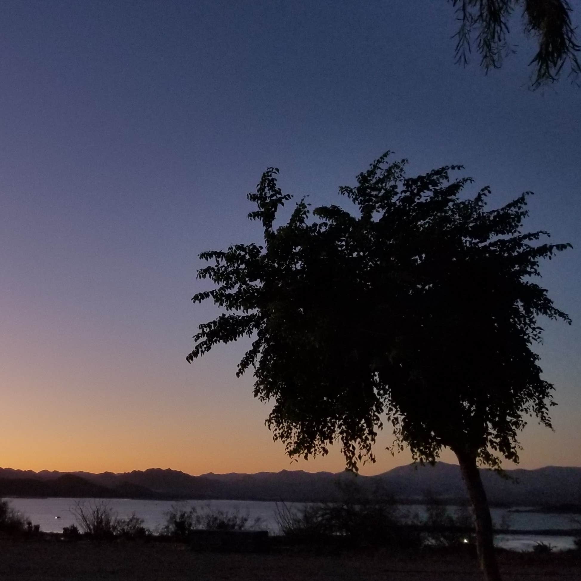 Pleasant Harbor RV Resort Camping | The Dyrt