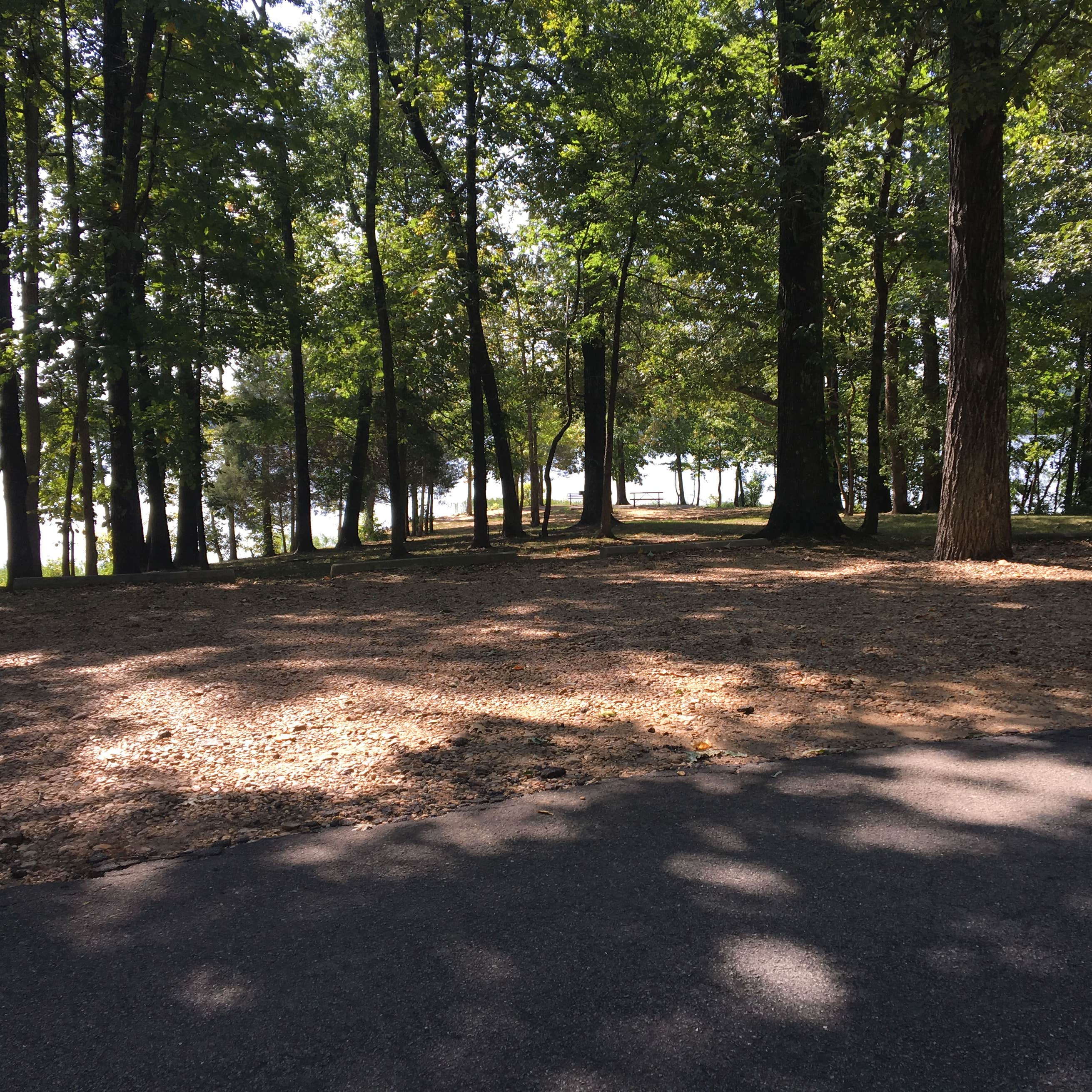 Lake Frierson State Park Camping | The Dyrt