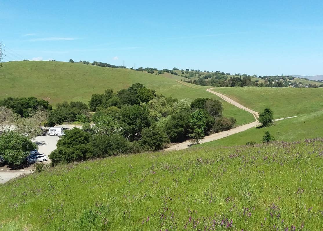 Briones Regional Park Camping | Alhambra Valley, CA | The Dyrt