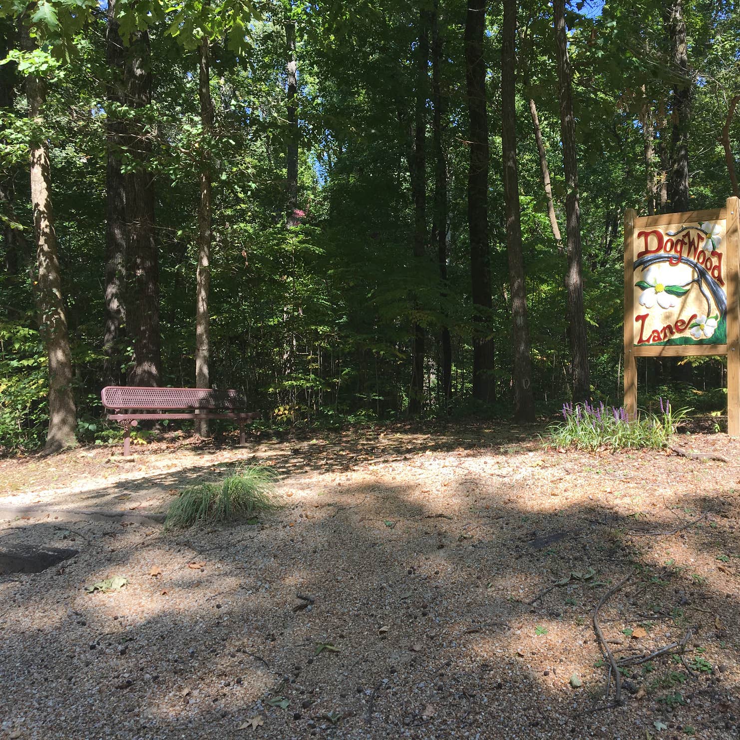 Lake Frierson State Park Camping | The Dyrt