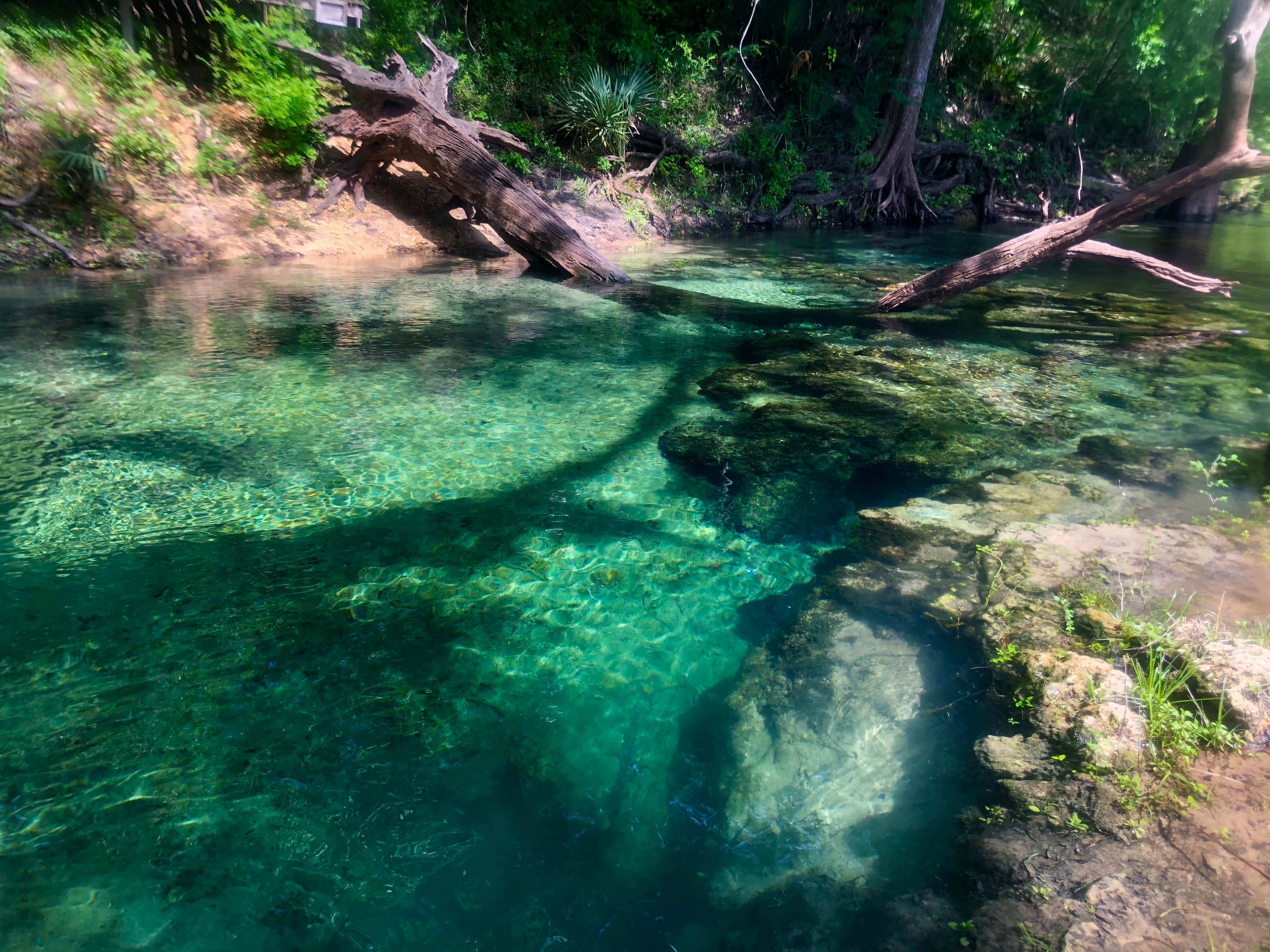Suwannee River Rendezvous Resort Camping | Mayo, Florida