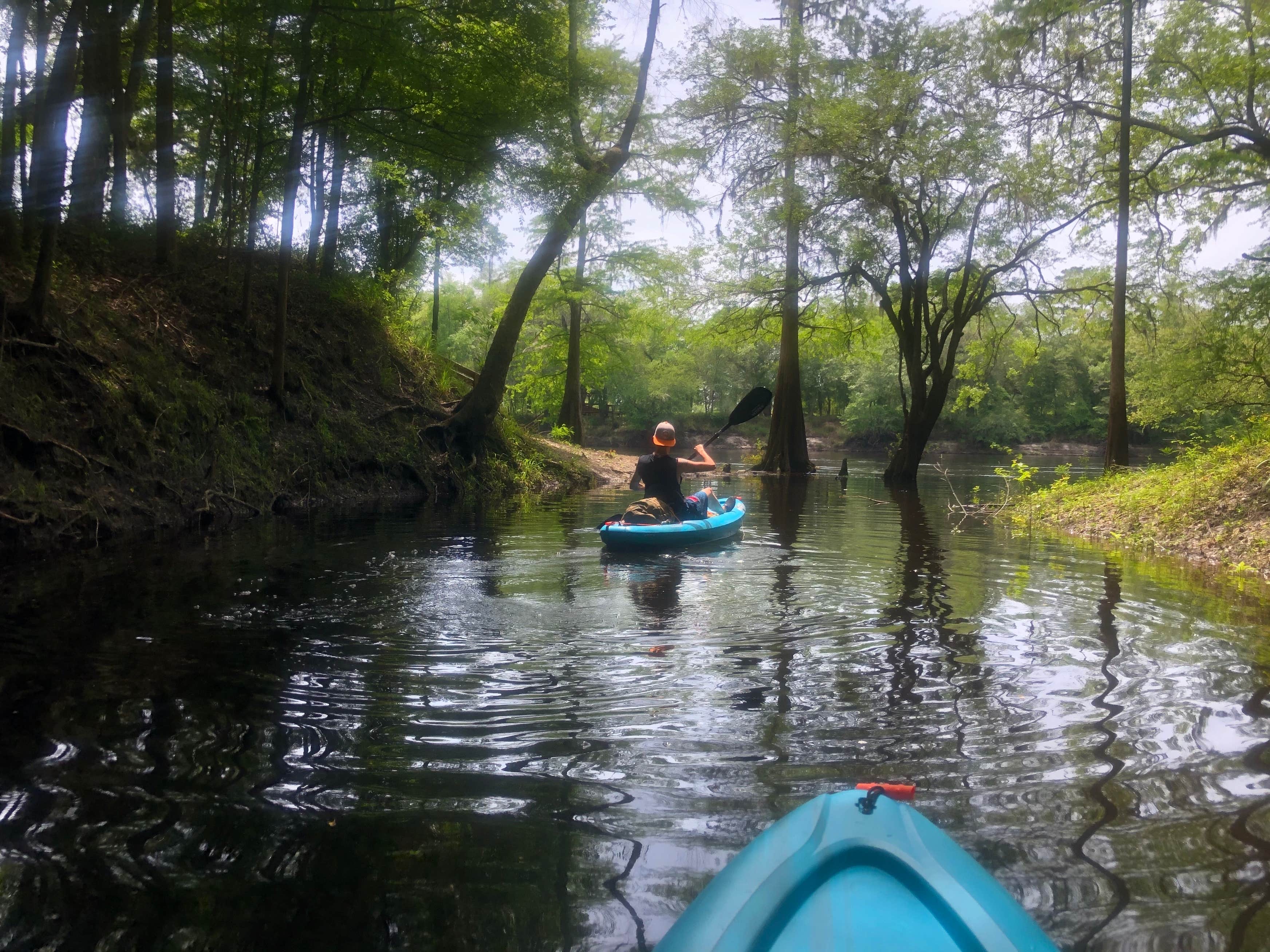 Suwannee River Rendezvous Resort Camping | The Dyrt