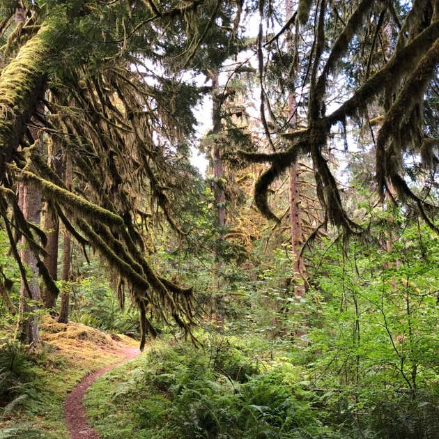 Maple Grove Campsites | Concrete, Washington
