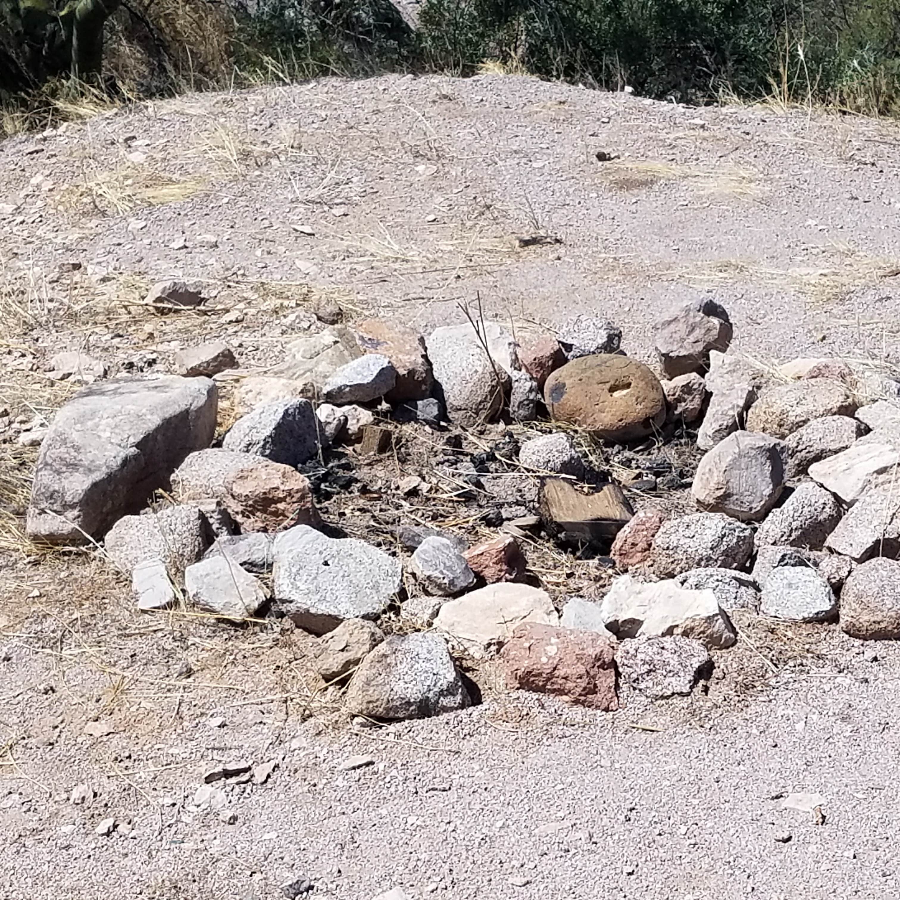 Constellation Park Camping | The Dyrt