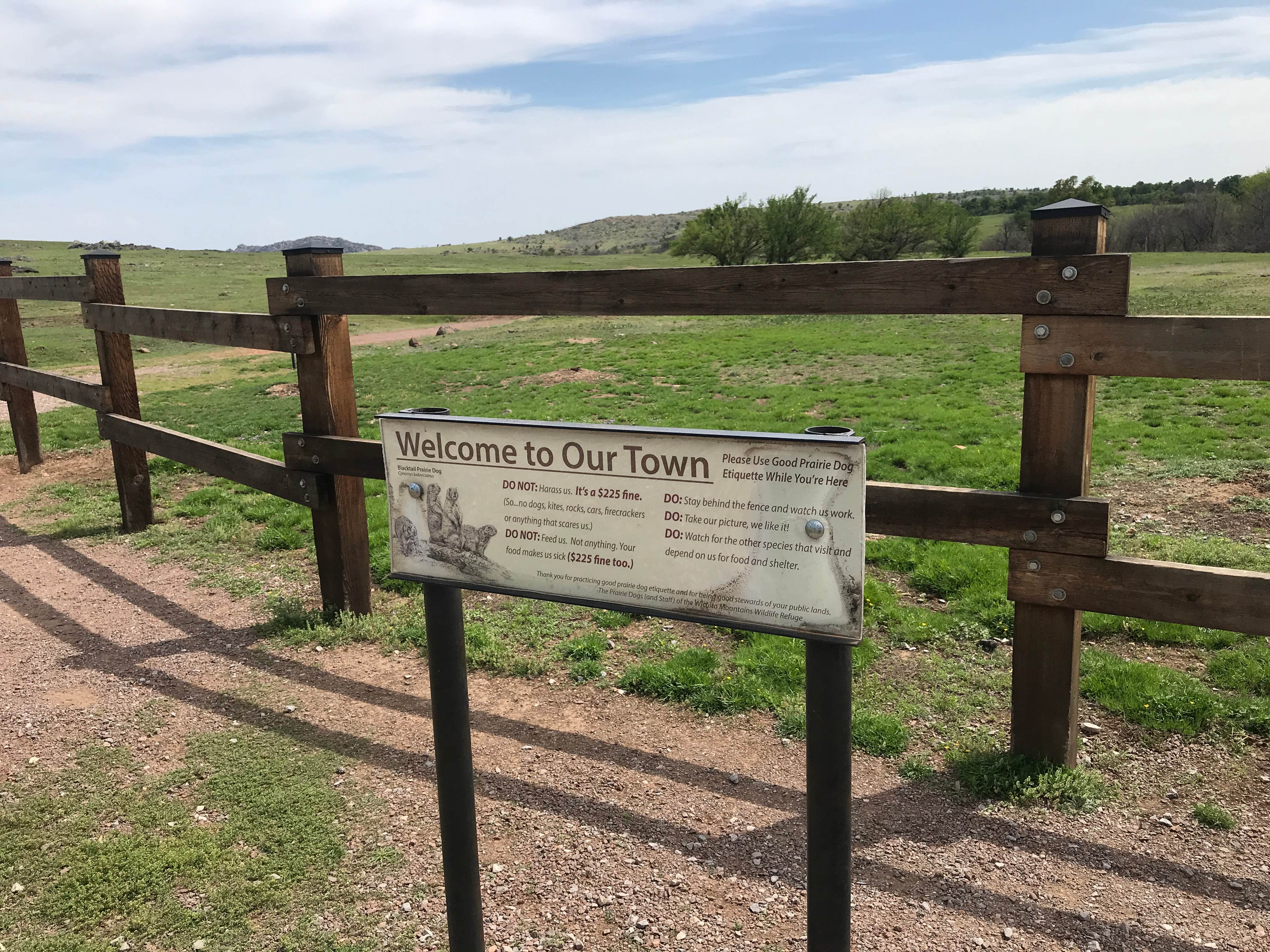 Camp Doris | The Dyrt