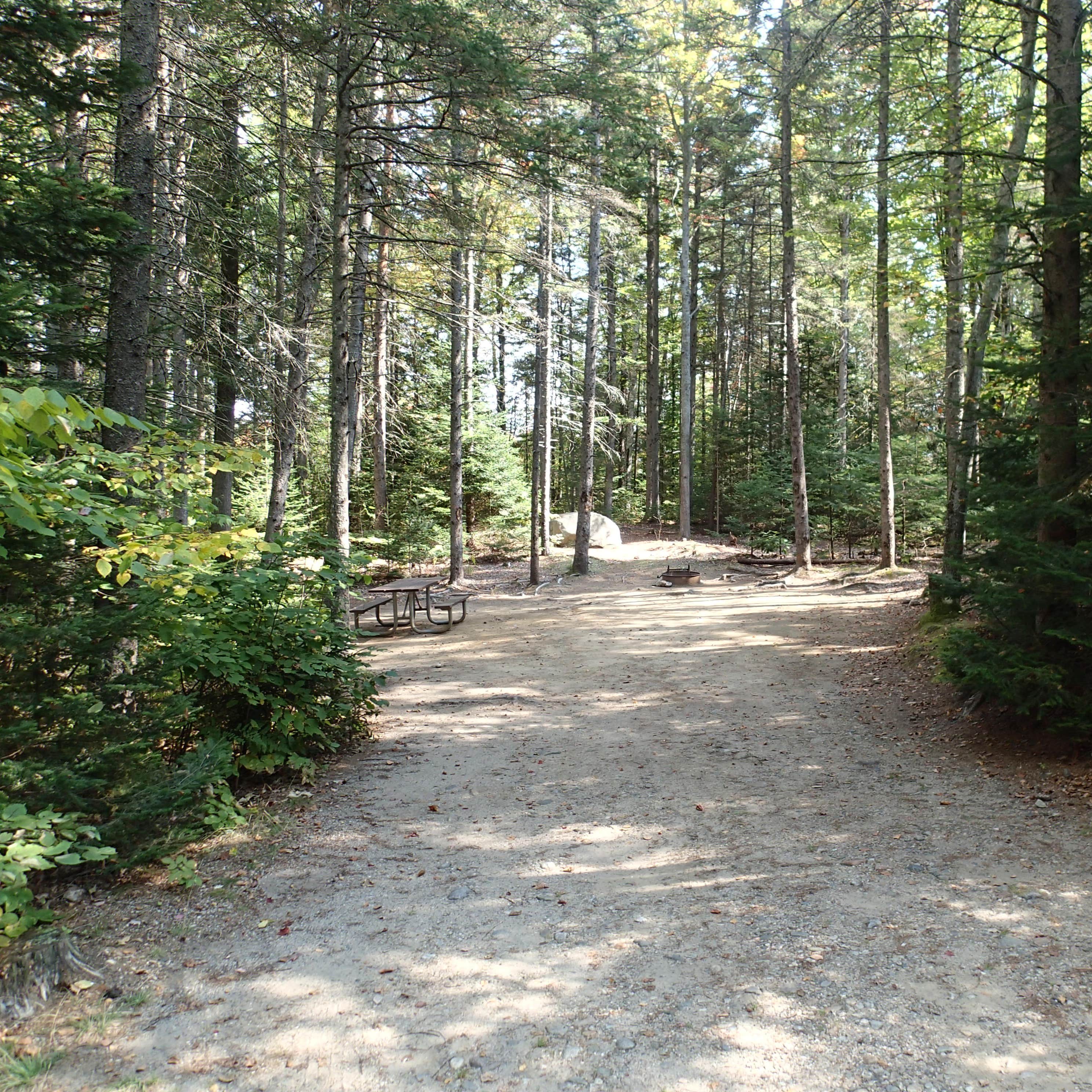 Moose Brook State Park Camping | The Dyrt