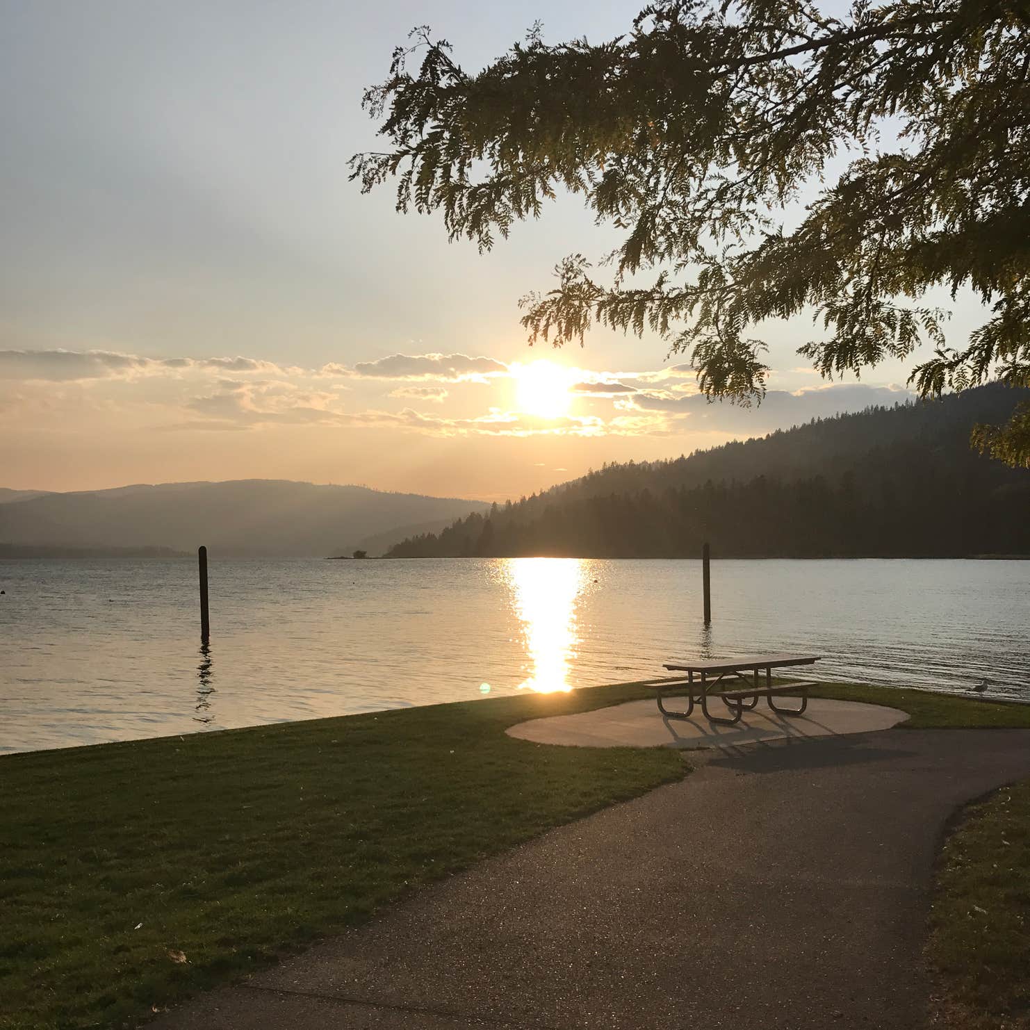 Riley Creek Campground Camping | The Dyrt