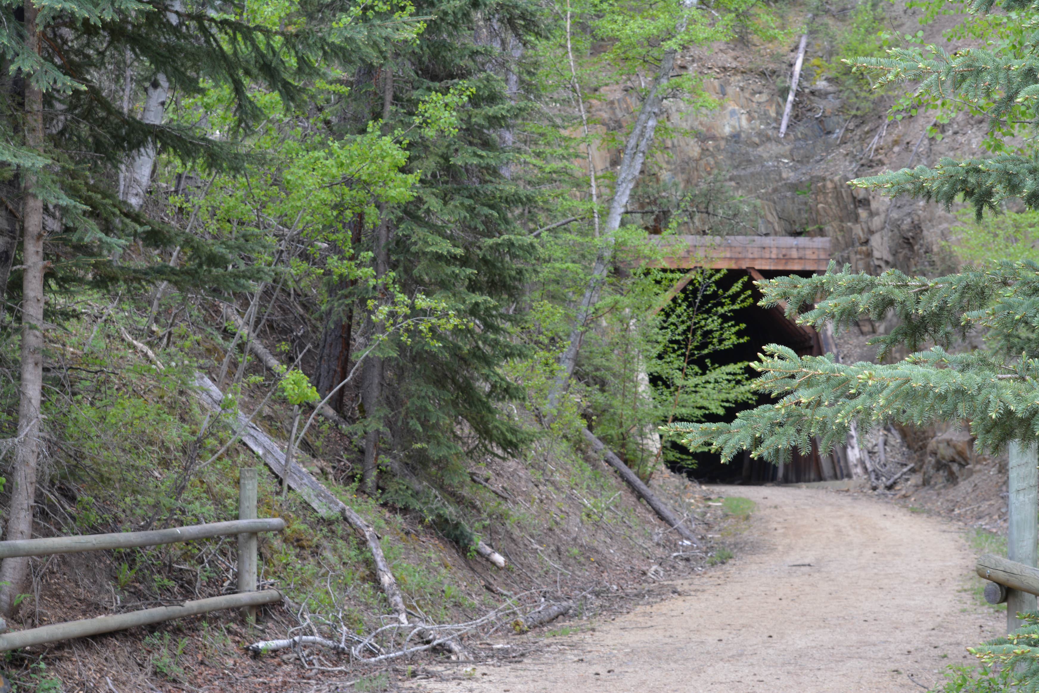 Black Hills Trailside Park & Resort Camping | The Dyrt