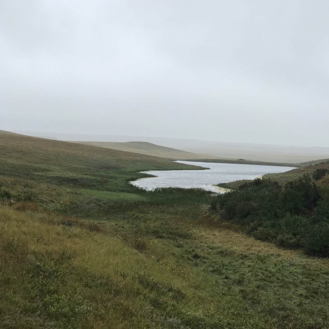 Hugh Glass Campground Camping | The Dyrt