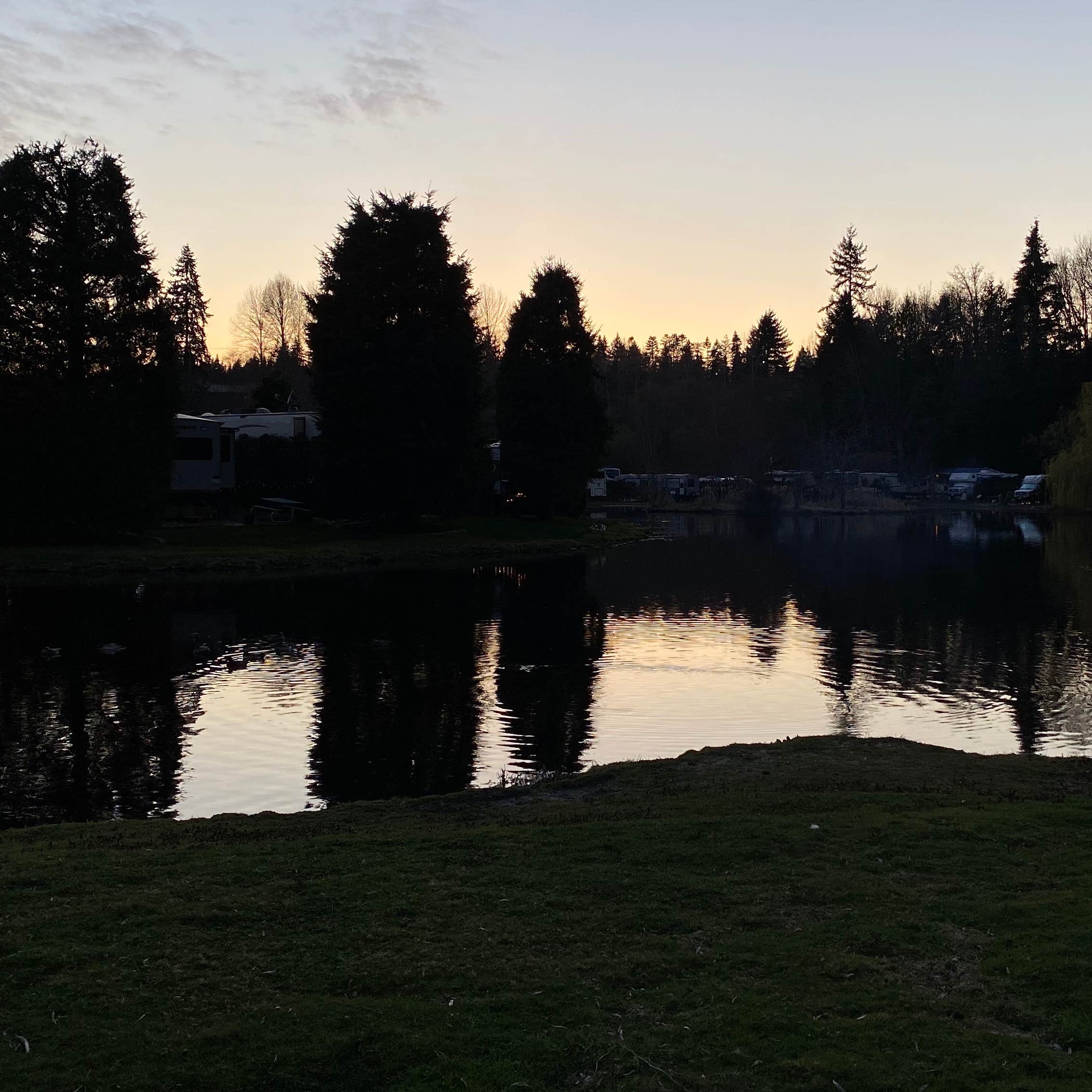 Lake Pleasant RV Park Camping | The Dyrt