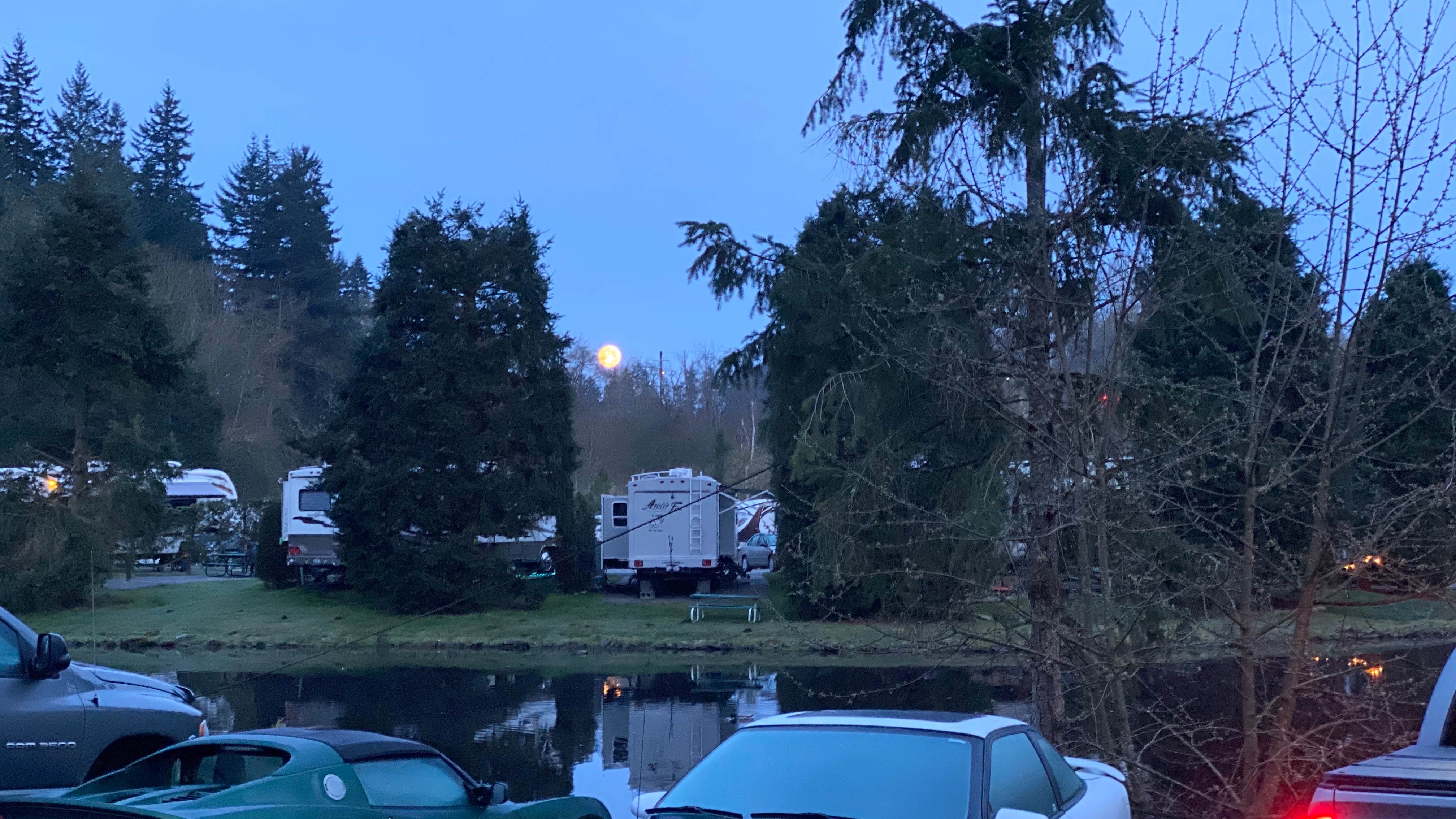 Lake Pleasant RV Park Camping | The Dyrt