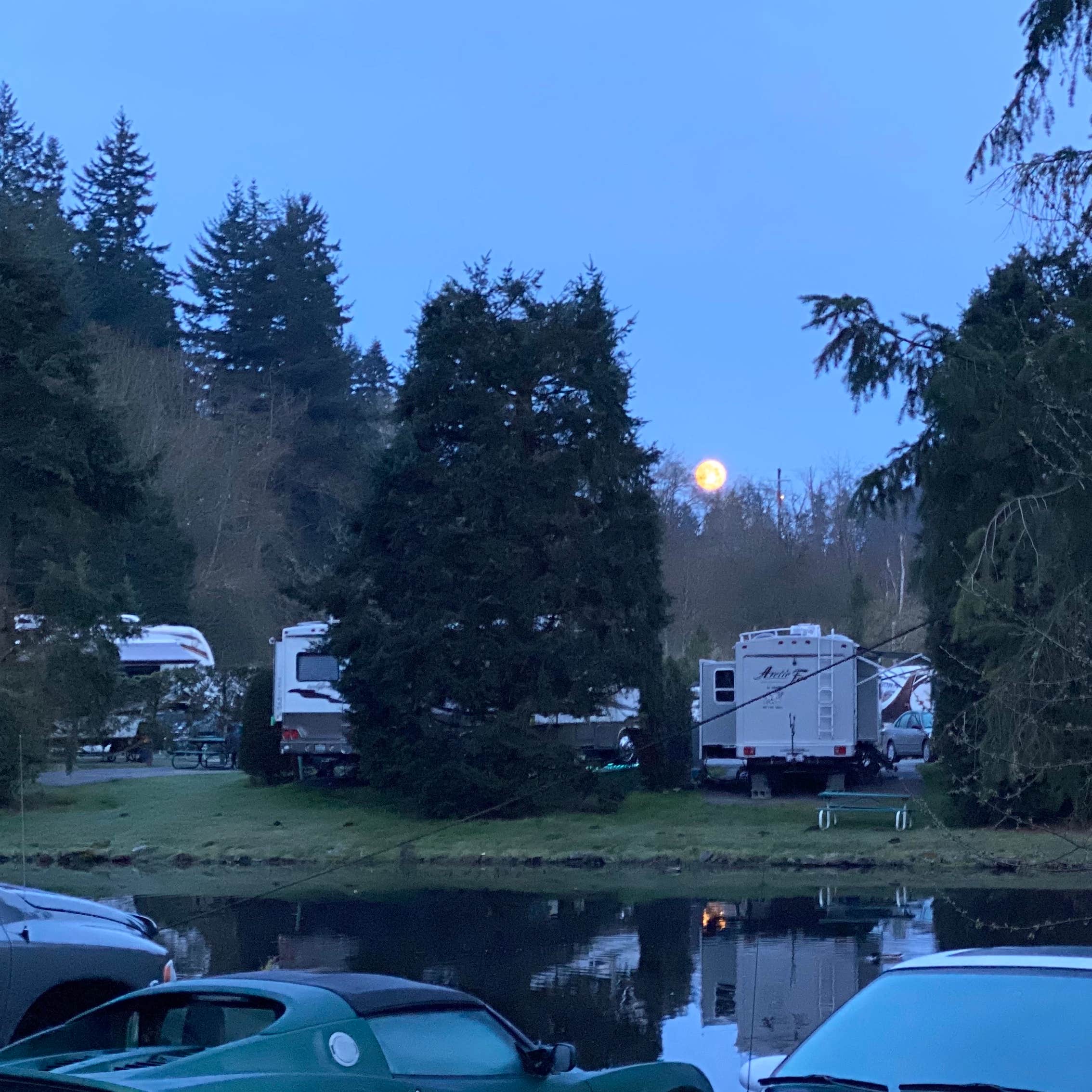 Lake Pleasant RV Park Camping | The Dyrt