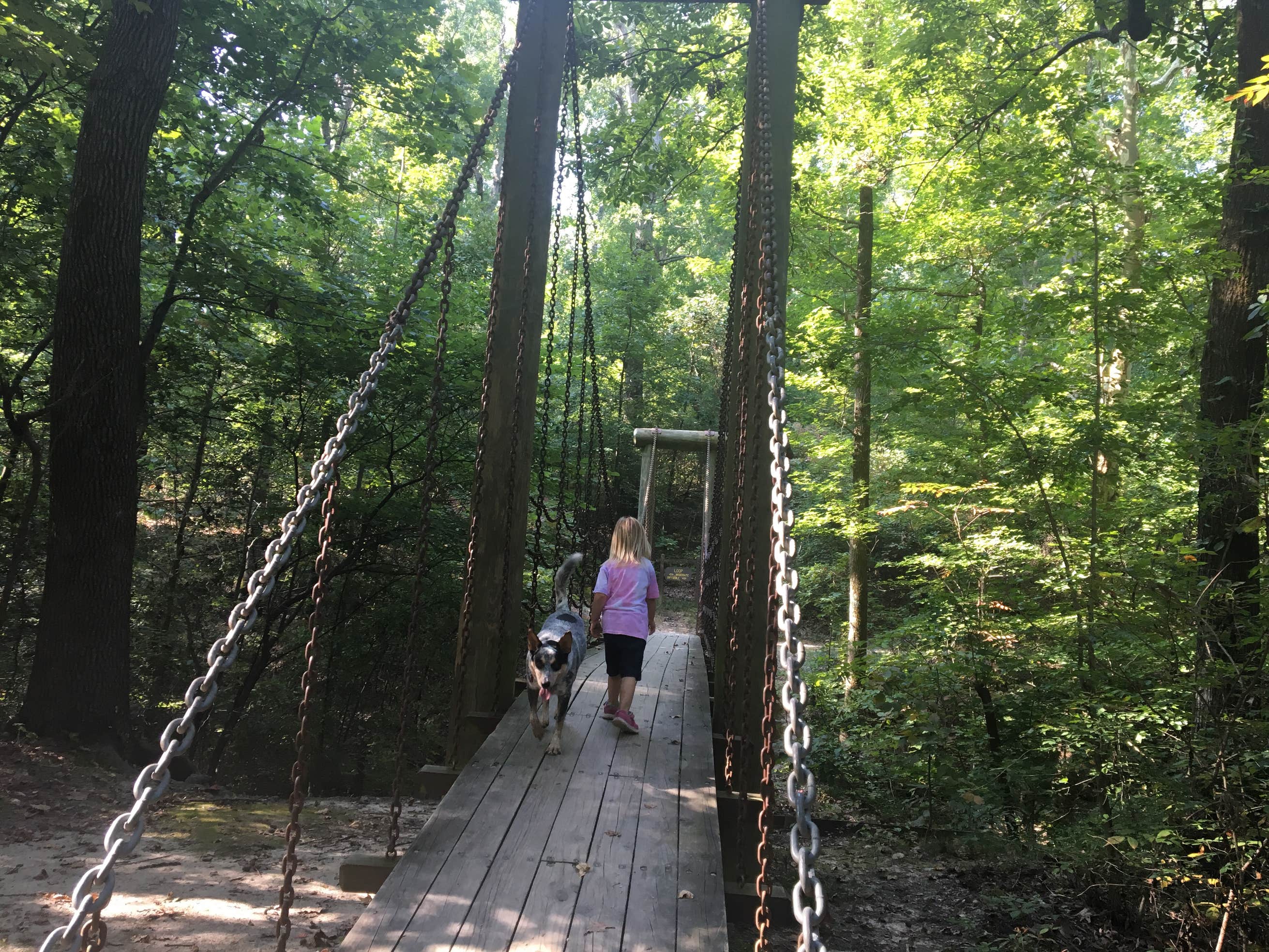 Crowley's Ridge State Park Camping | The Dyrt