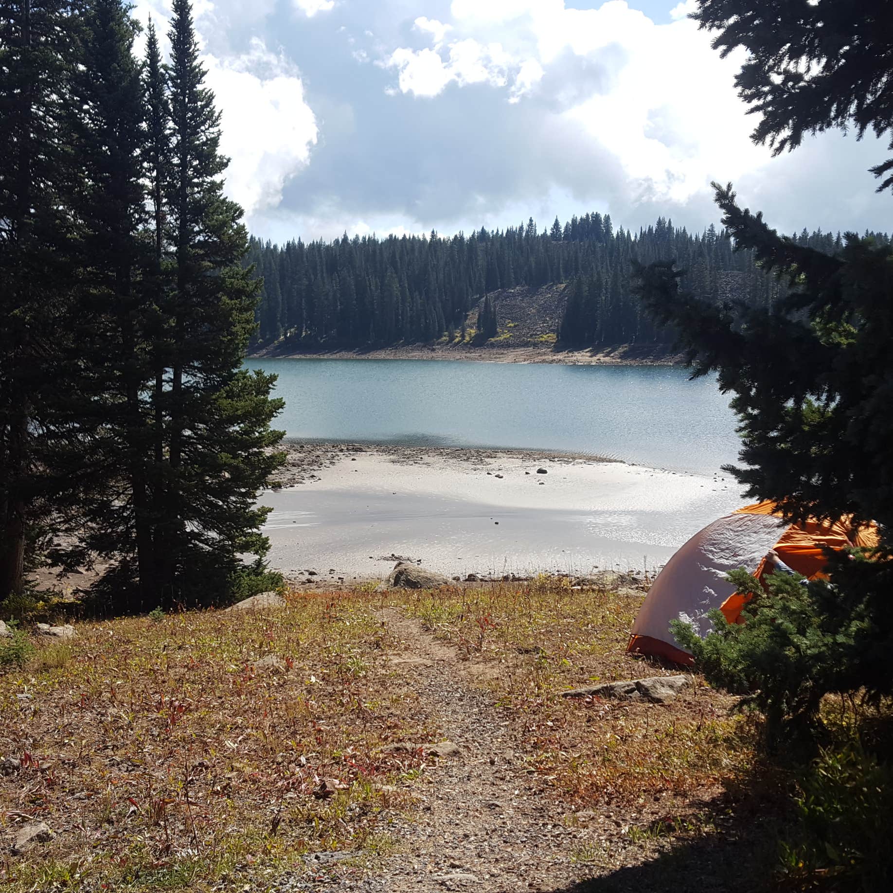 Ward Lake Campground Camping | The Dyrt