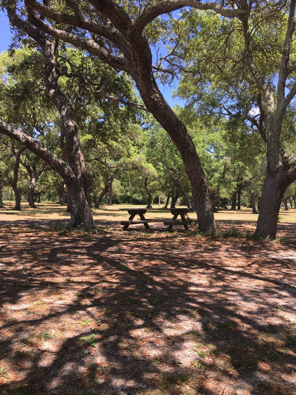 Mid Bay Shores Maxwell Camping | Destin, Florida