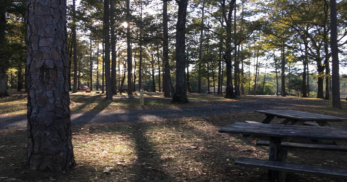 North Karick Lake Recreation Area Camping | Baker, FL