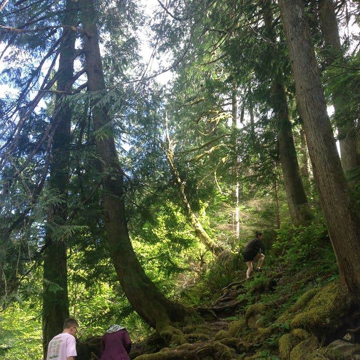 Mount Hood National Forest Lockaby Campground - TEMP CLOSED DUE TO FIRE ...