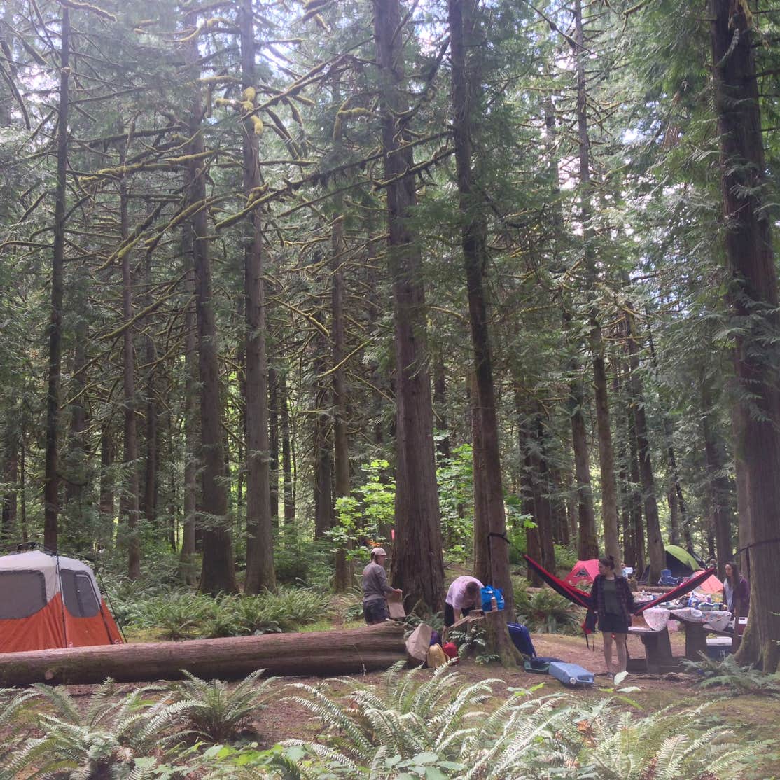 Mount Hood National Forest Lockaby Campground - TEMP CLOSED DUE TO FIRE ...