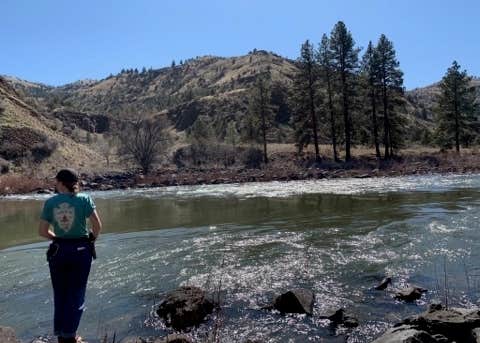 Muleshoe Campground Camping | The Dyrt