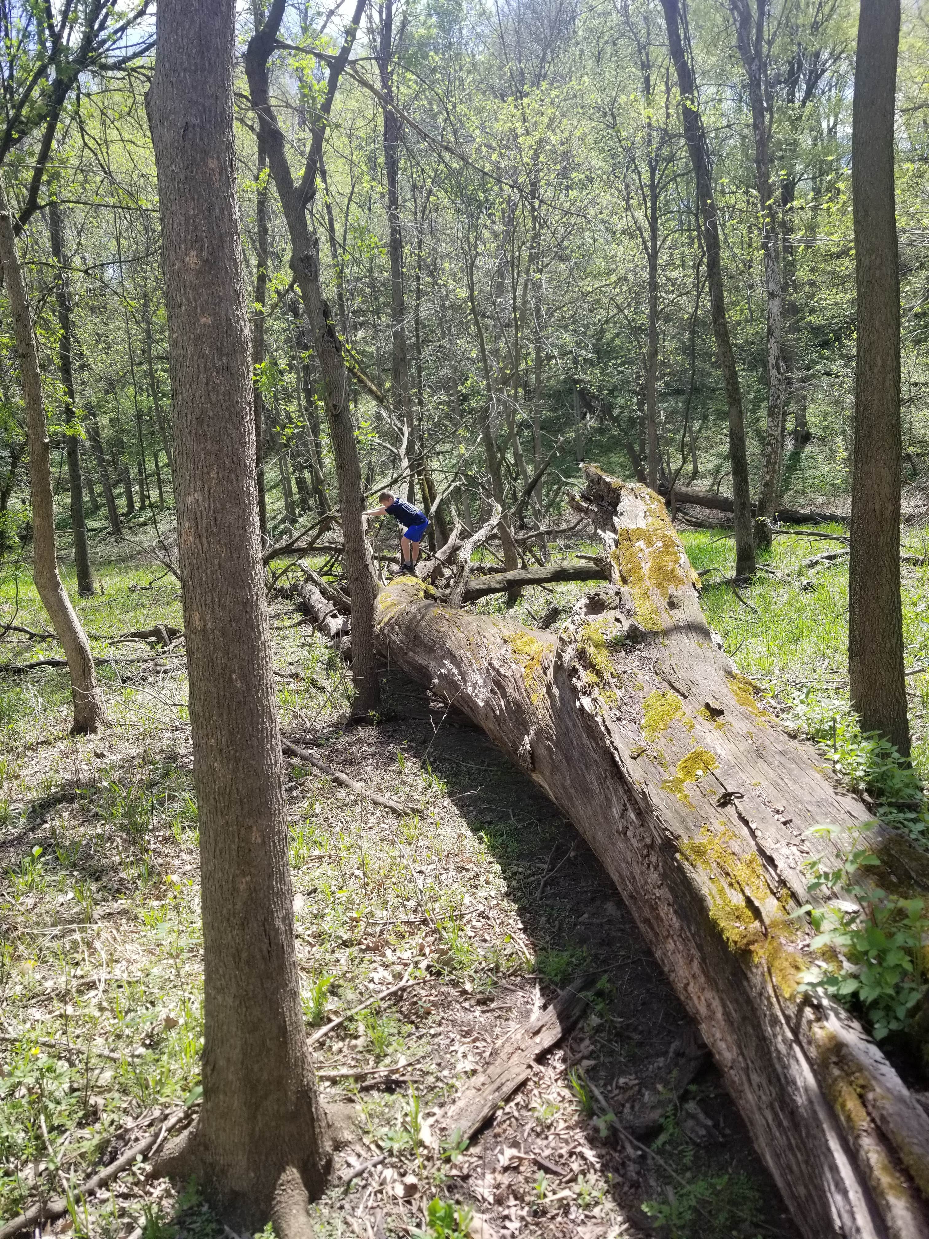 George Wyth State Park | The Dyrt