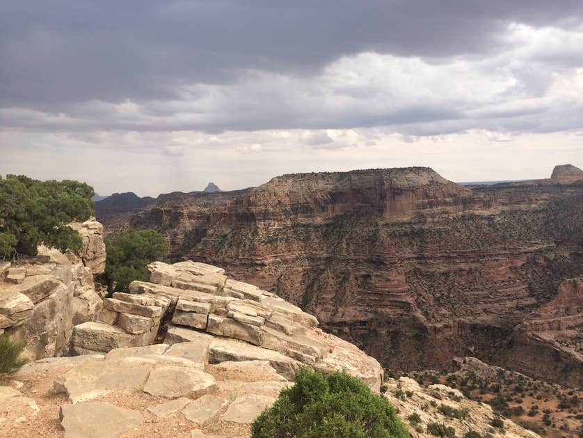 Wedge Overlook Camping | The Dyrt