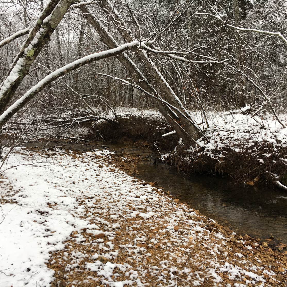 Peter Cave Hollow Creek Camping | Black, Missouri