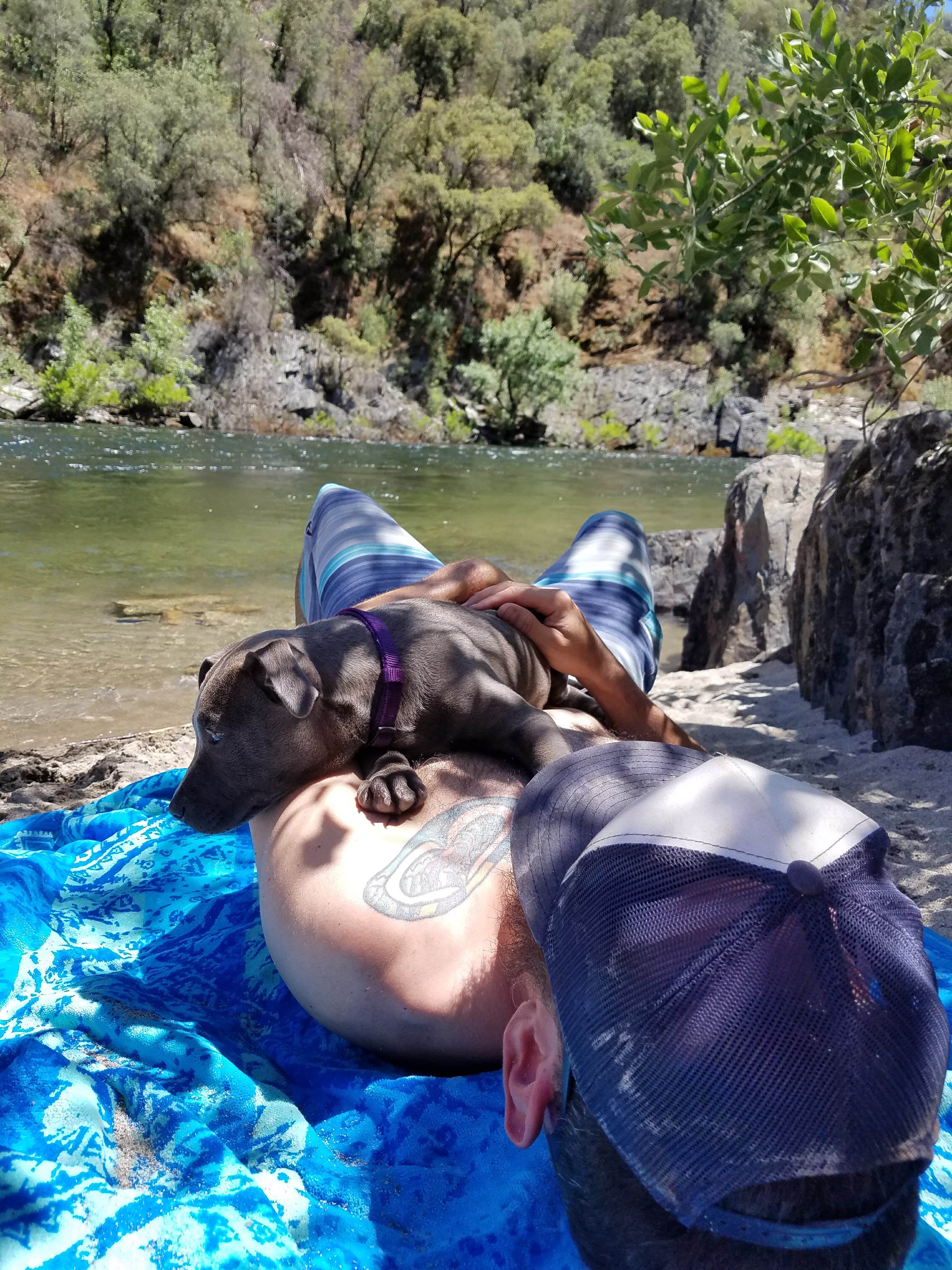 Railroad Flat Campground Camping | The Dyrt