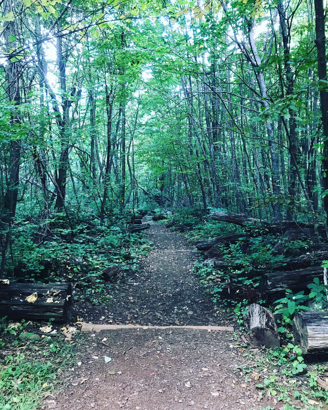 Mathews Arm Campground — Shenandoah National Park | Luray, VA