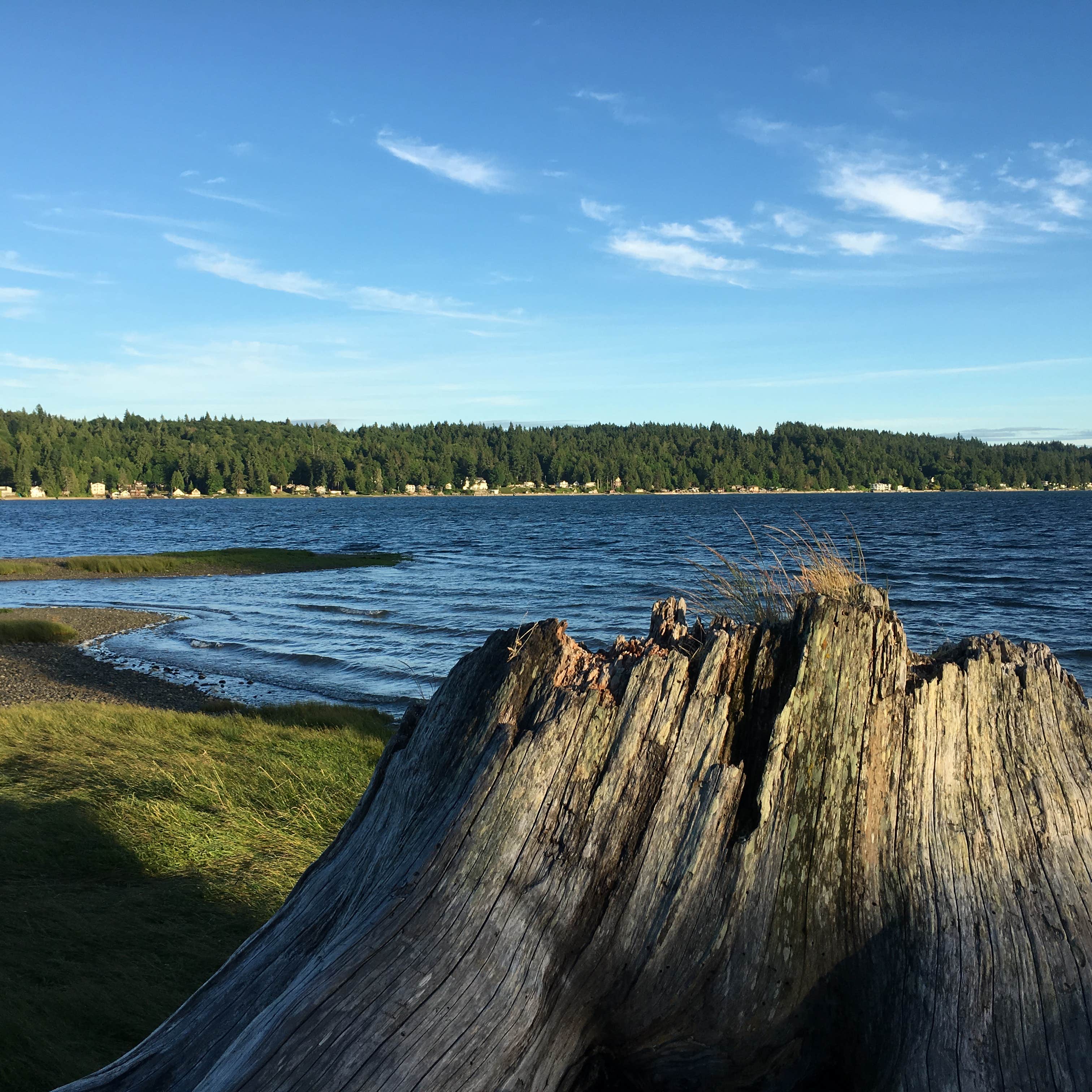 Belfair State Park Campground | Belfair, WA