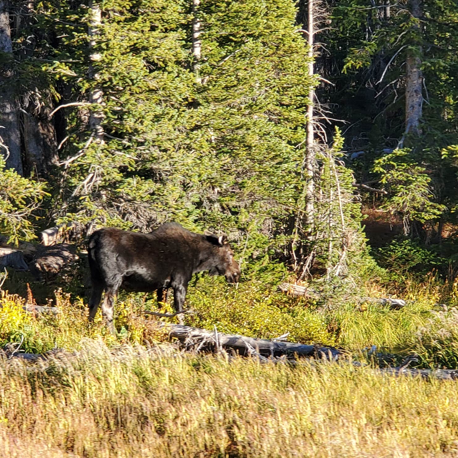 Sugarloaf Campground Camping | The Dyrt