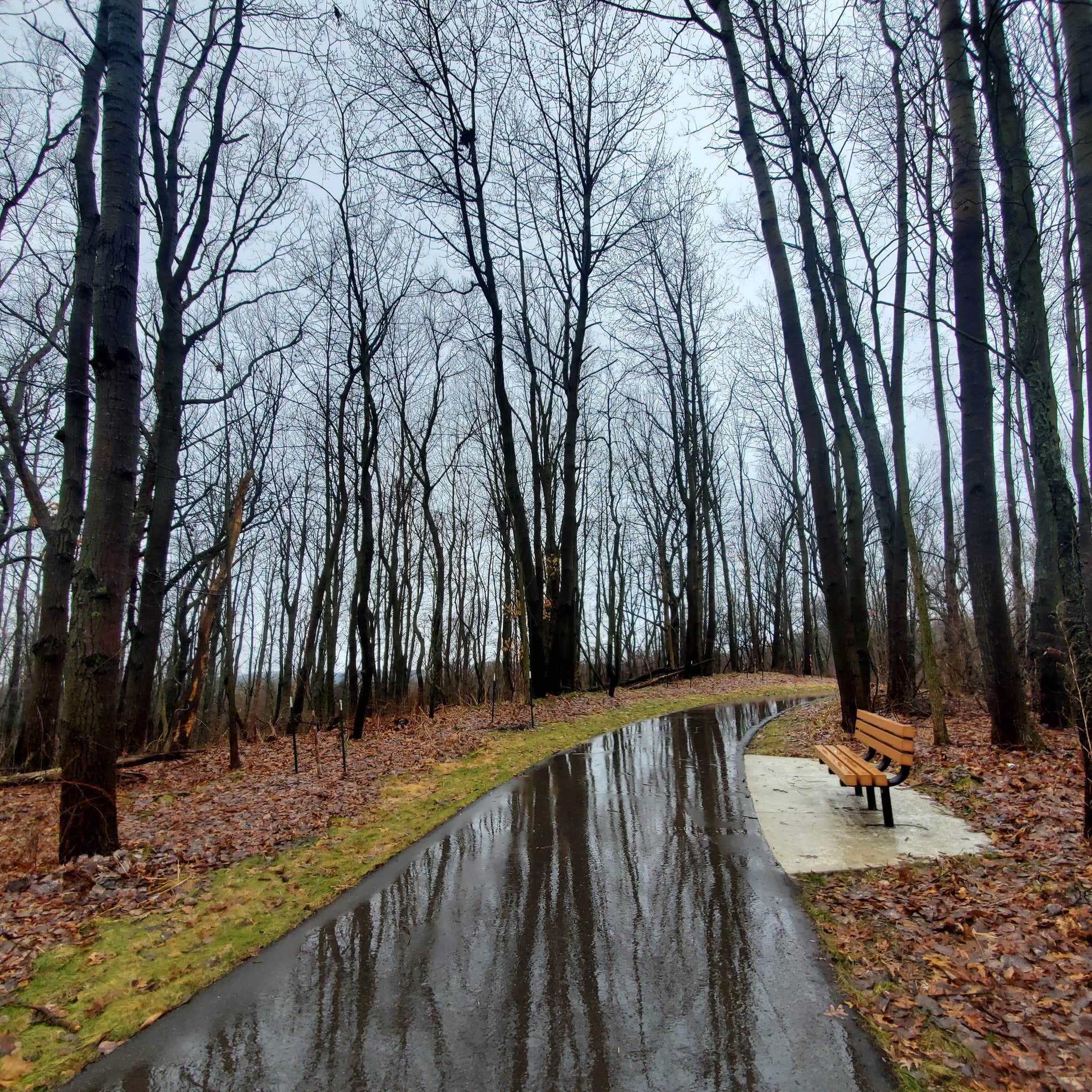 Green Lake - Waterloo SRA Camping | The Dyrt