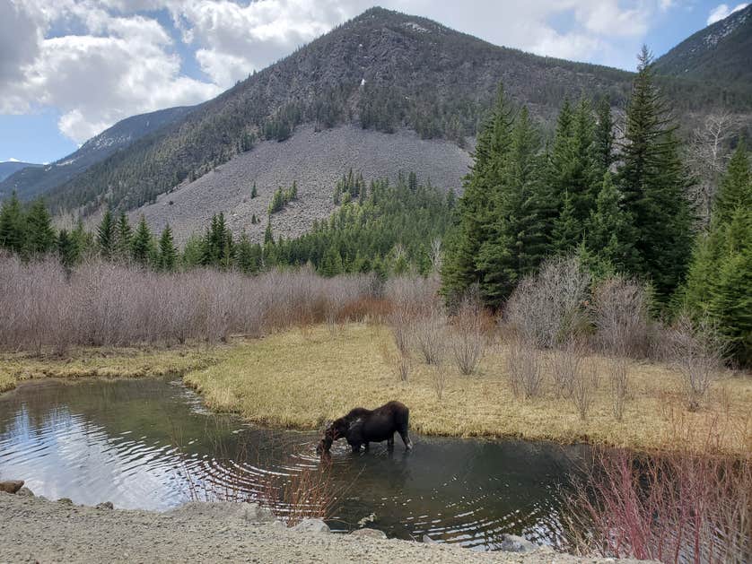 Hicks Park | The Dyrt