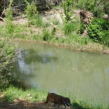 Verde River RV Resort & Cottages Camping | Camp Verde, AZ | The Dyrt