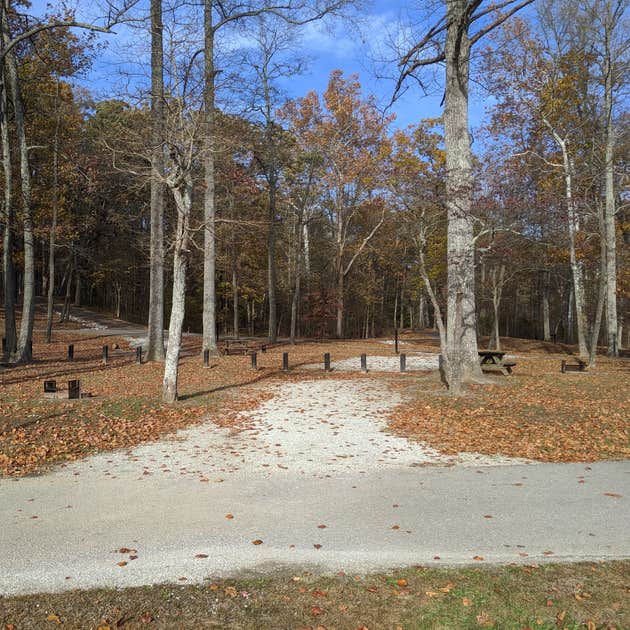 Jackson Washington State Forest Camping | The Dyrt