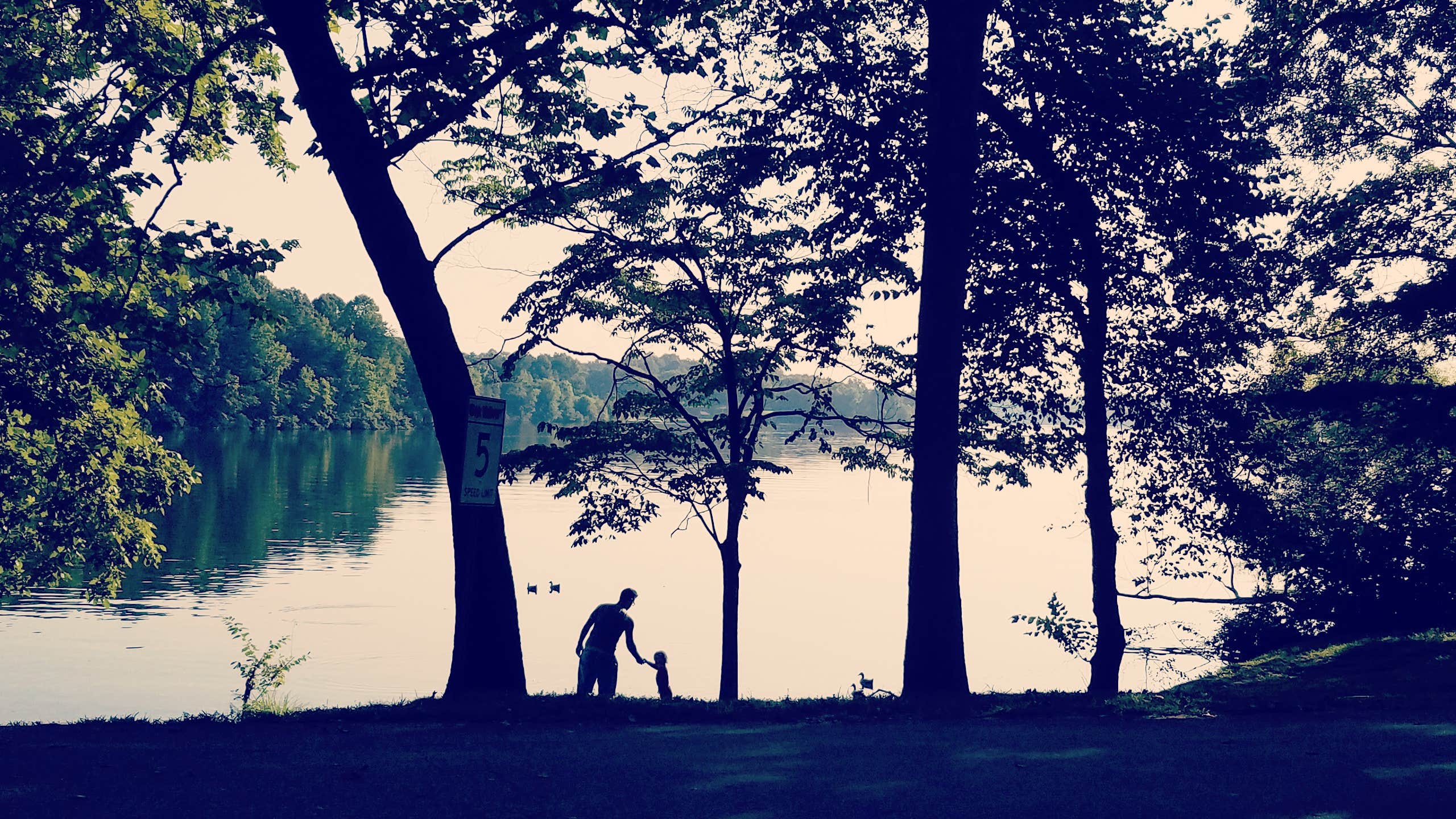Oak Hollow City Campground | High Point, NC