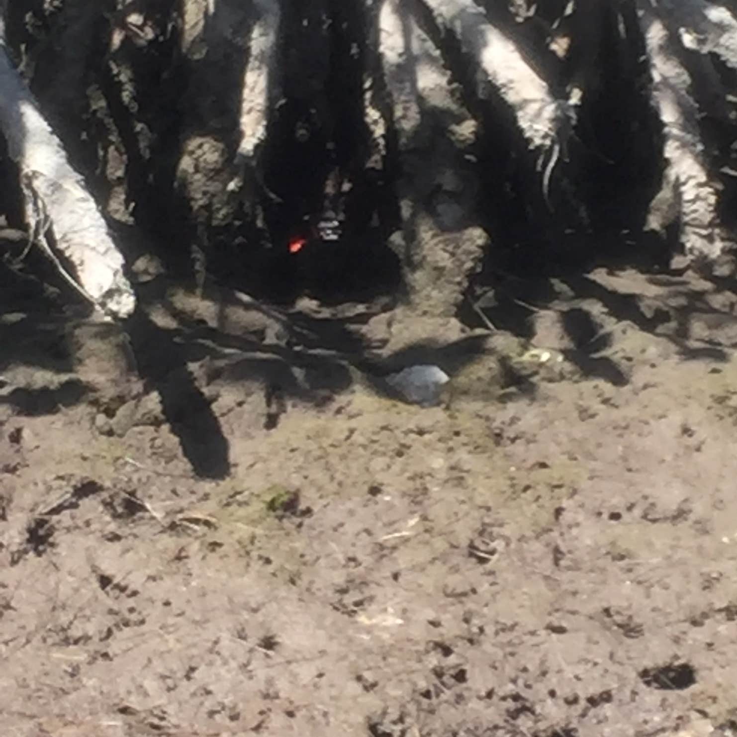 Elliott Key — Biscayne National Park Camping | Homestead, FL