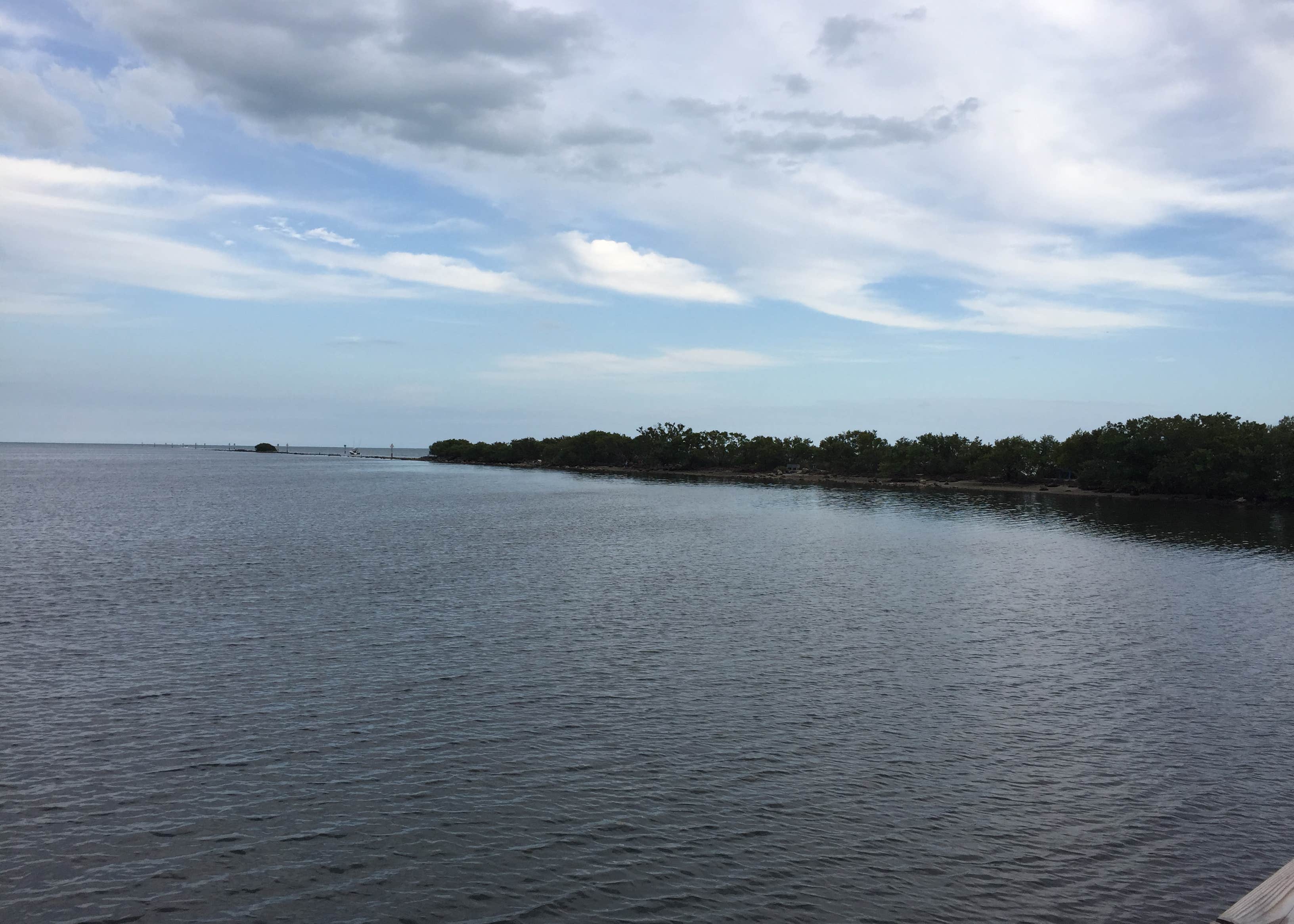 Elliott Key - Biscayne National Park Camping | The Dyrt