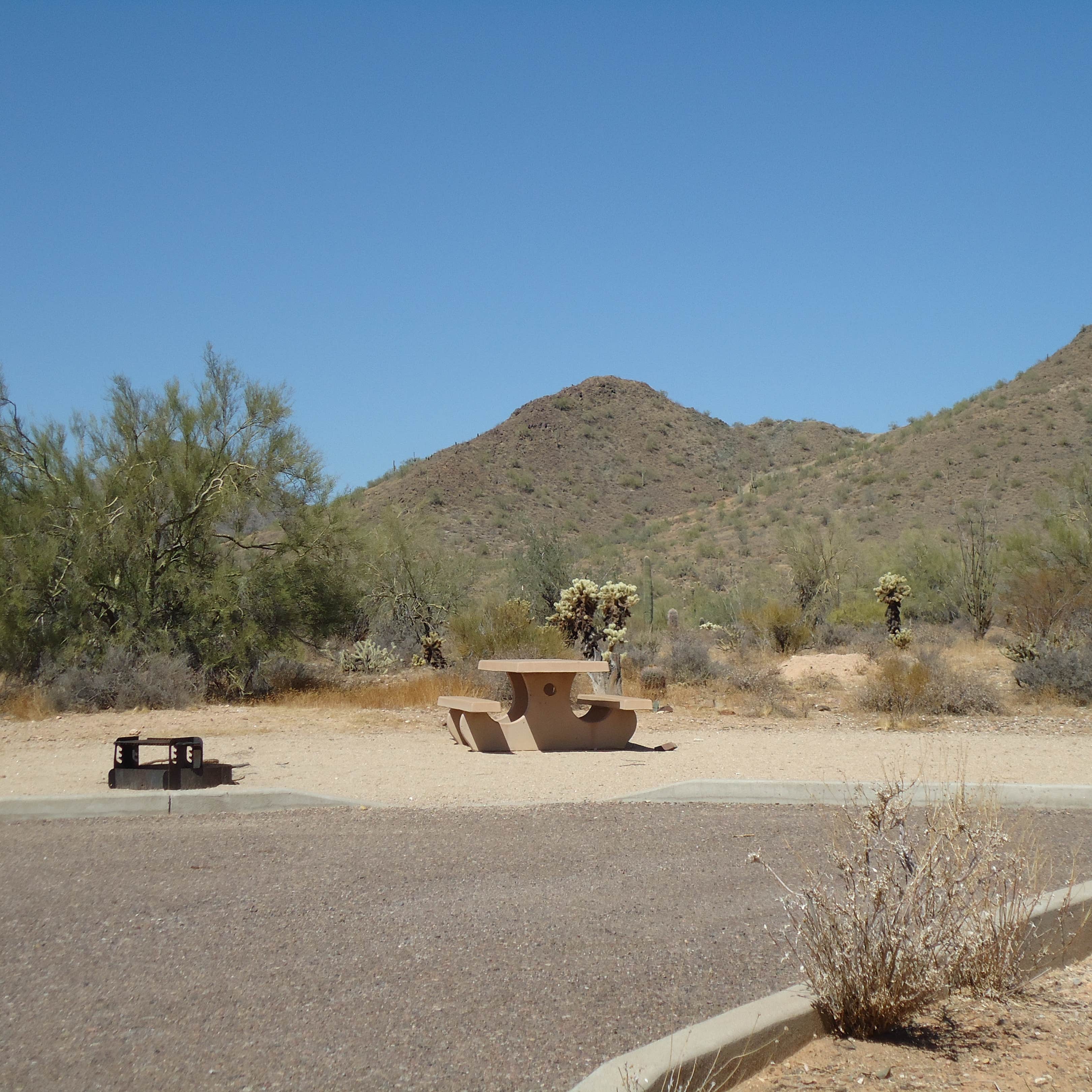 Cave Creek Regional Park Camping | Cave Creek, AZ | The Dyrt