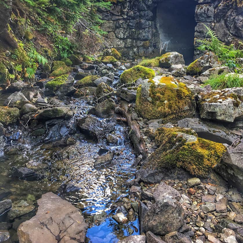 Eagles Roost Camp Camping | The Dyrt