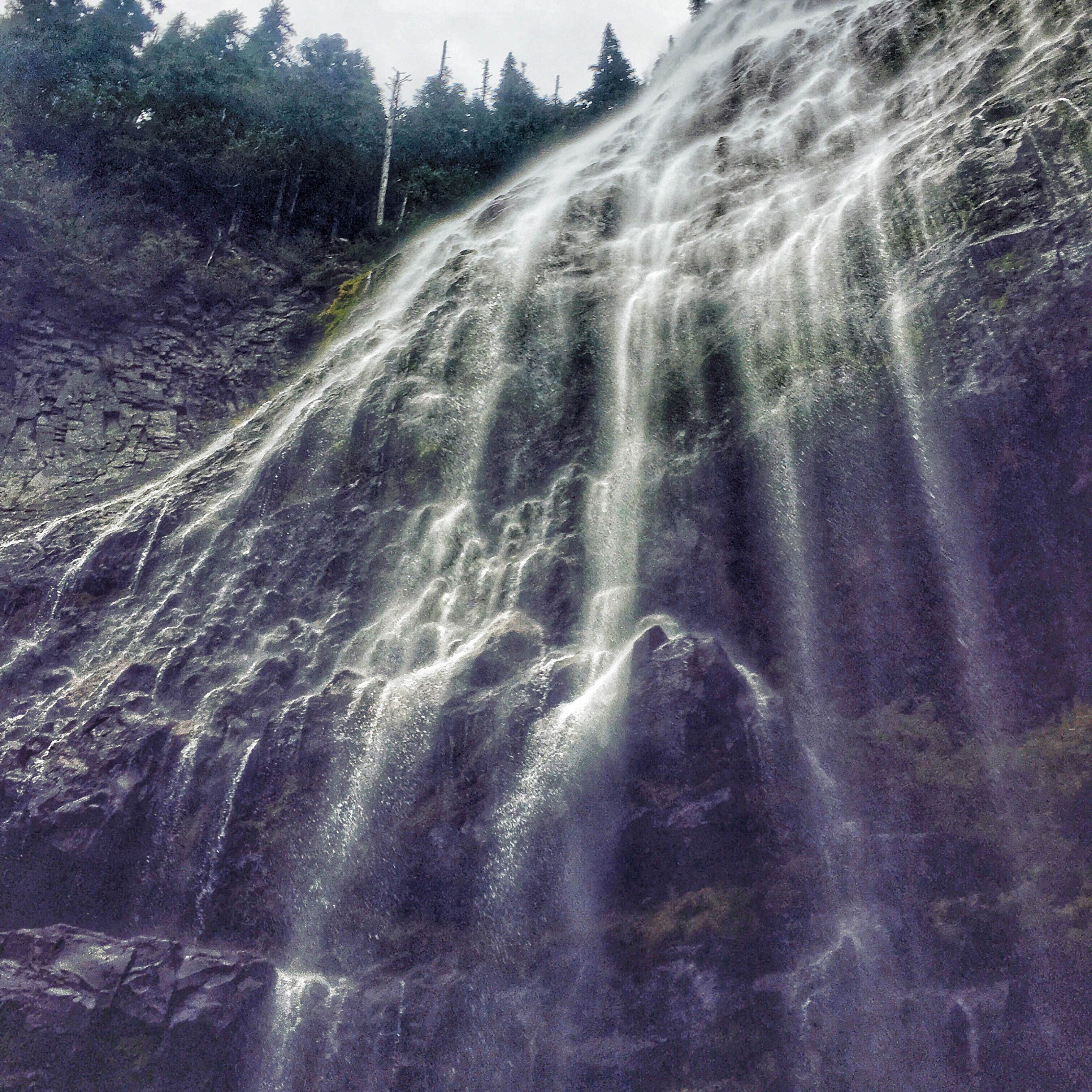 Eagles Roost Camp Camping | The Dyrt