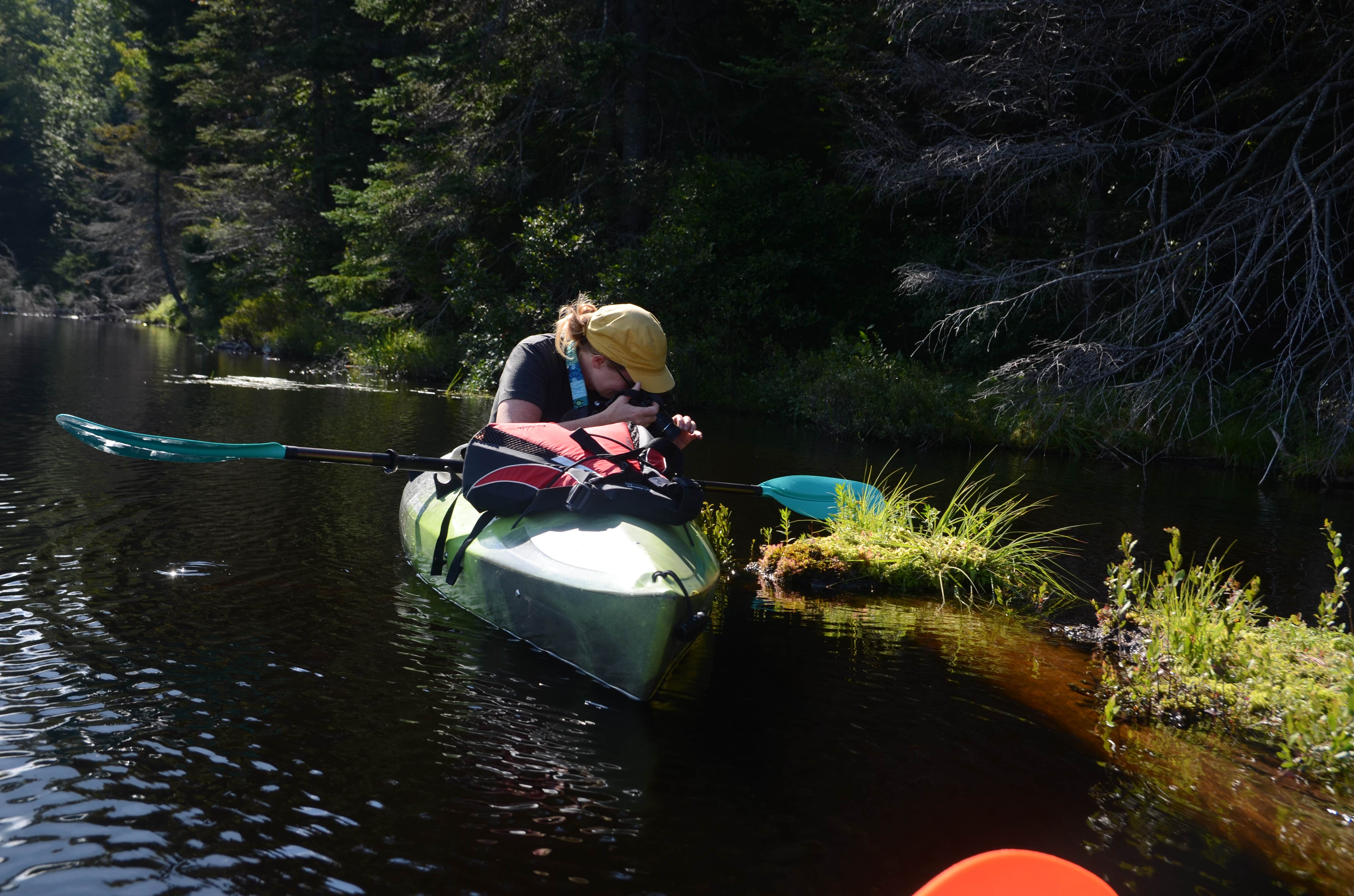 Woodford State Park Campground | Woodford, VT
