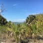 Shell Key Preserve Camping | The Dyrt