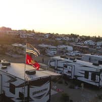 Cava Robles RV Resort Camping | The Dyrt