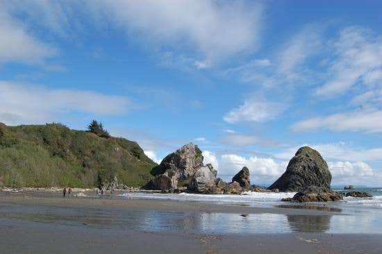 Harris Beach State Park Campground | Brookings, OR